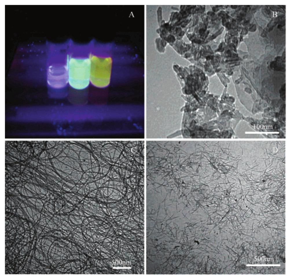 (PDF) Electrophoretic Analysis and Purification of Fluorescent Single ...
