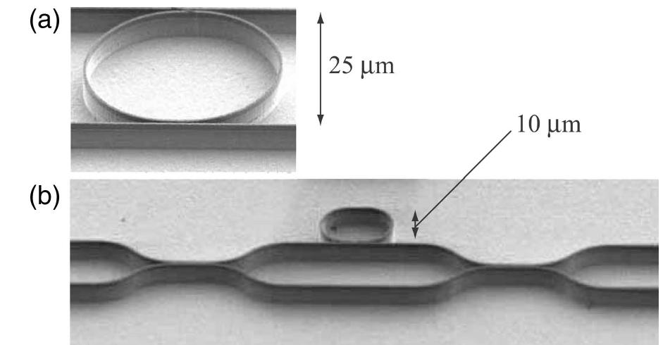 Scanning electron microscopy images of (a) an add-drop ring