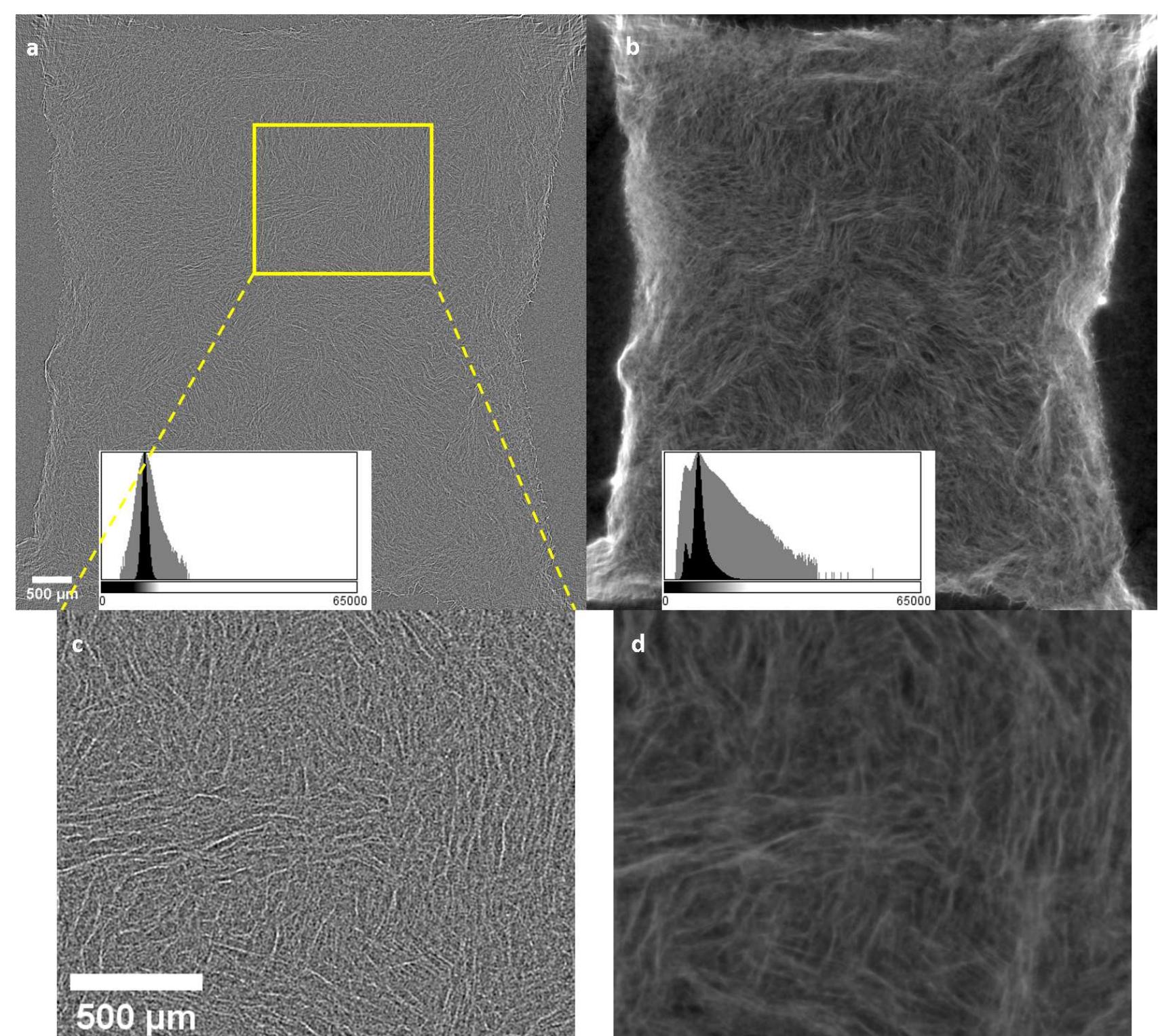 (a) transmission ct image of the cross section of the