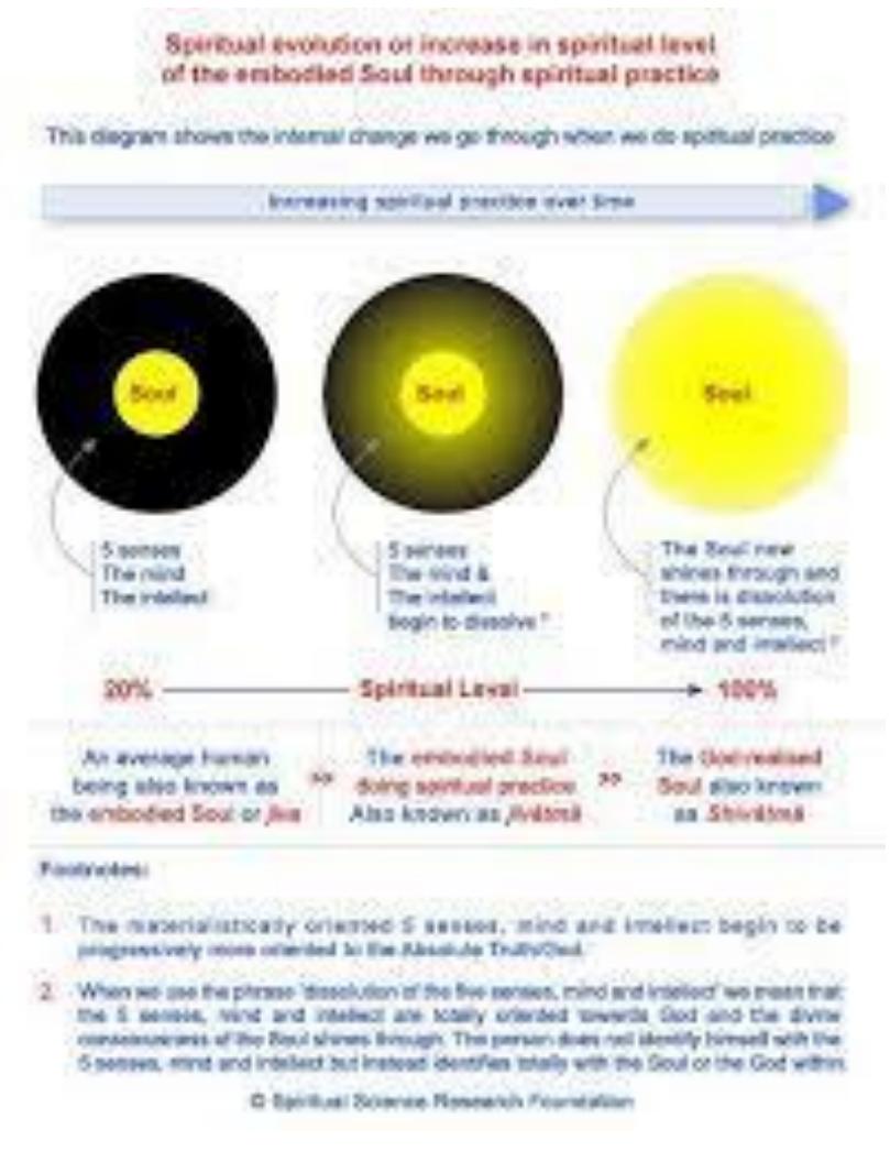 Figure 8 - THE ISLAMIC SUBTLETIES LATAIF AND BUDDHIST WHEEL