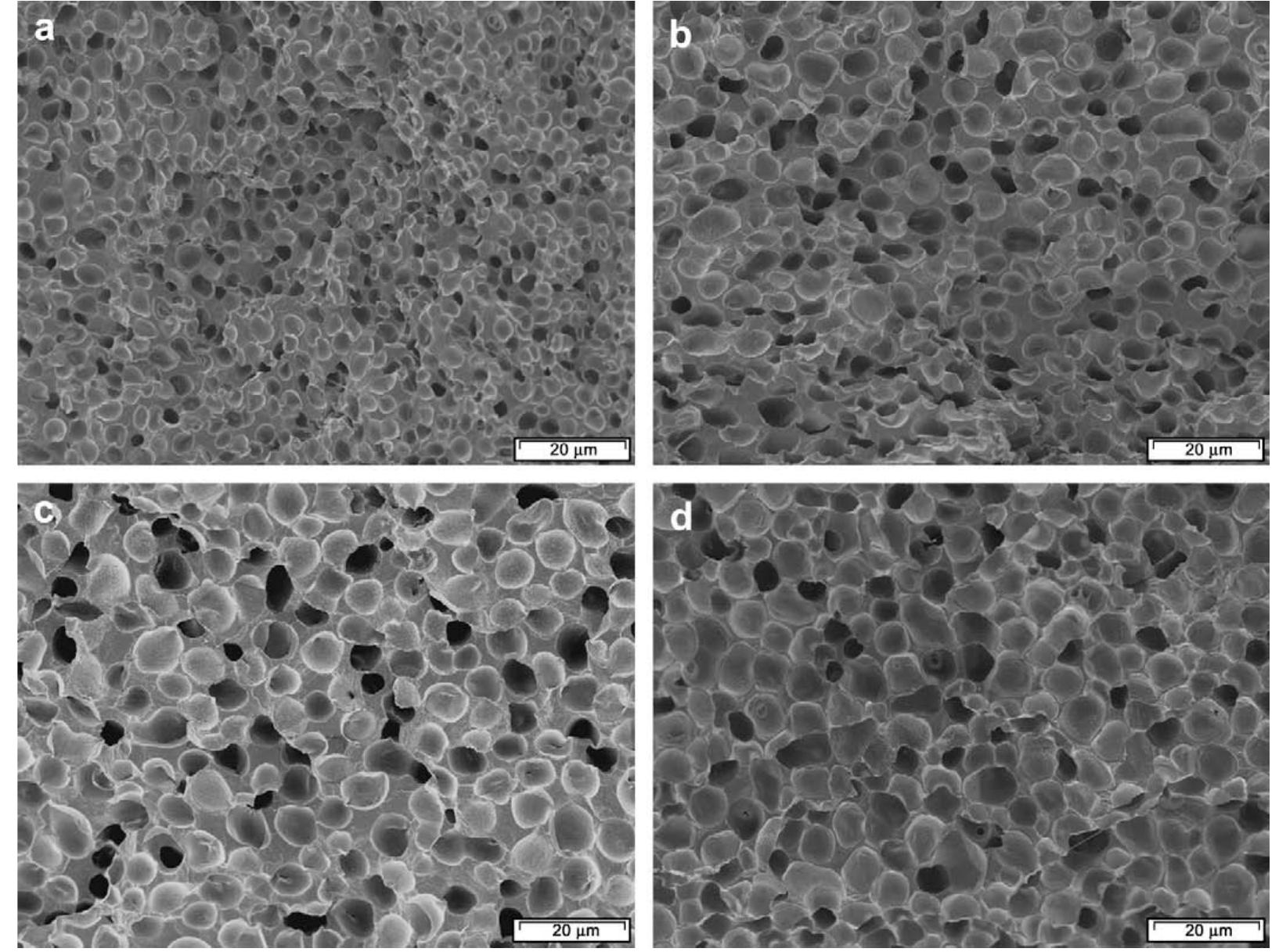Cross section membrane morphology of 40 wt% sample: (a)