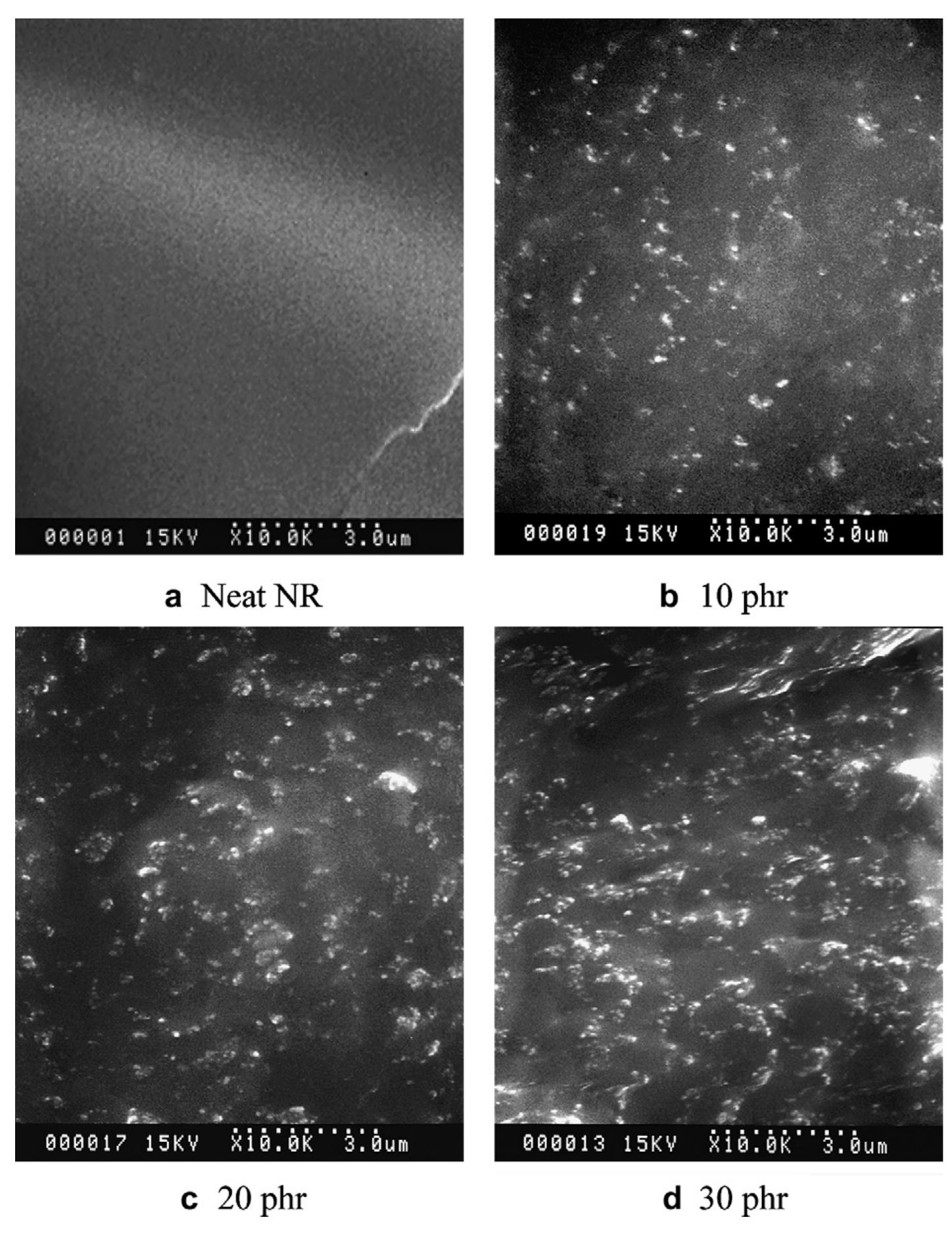 Sem micrographs of fracture surface of coagulated silica/nr