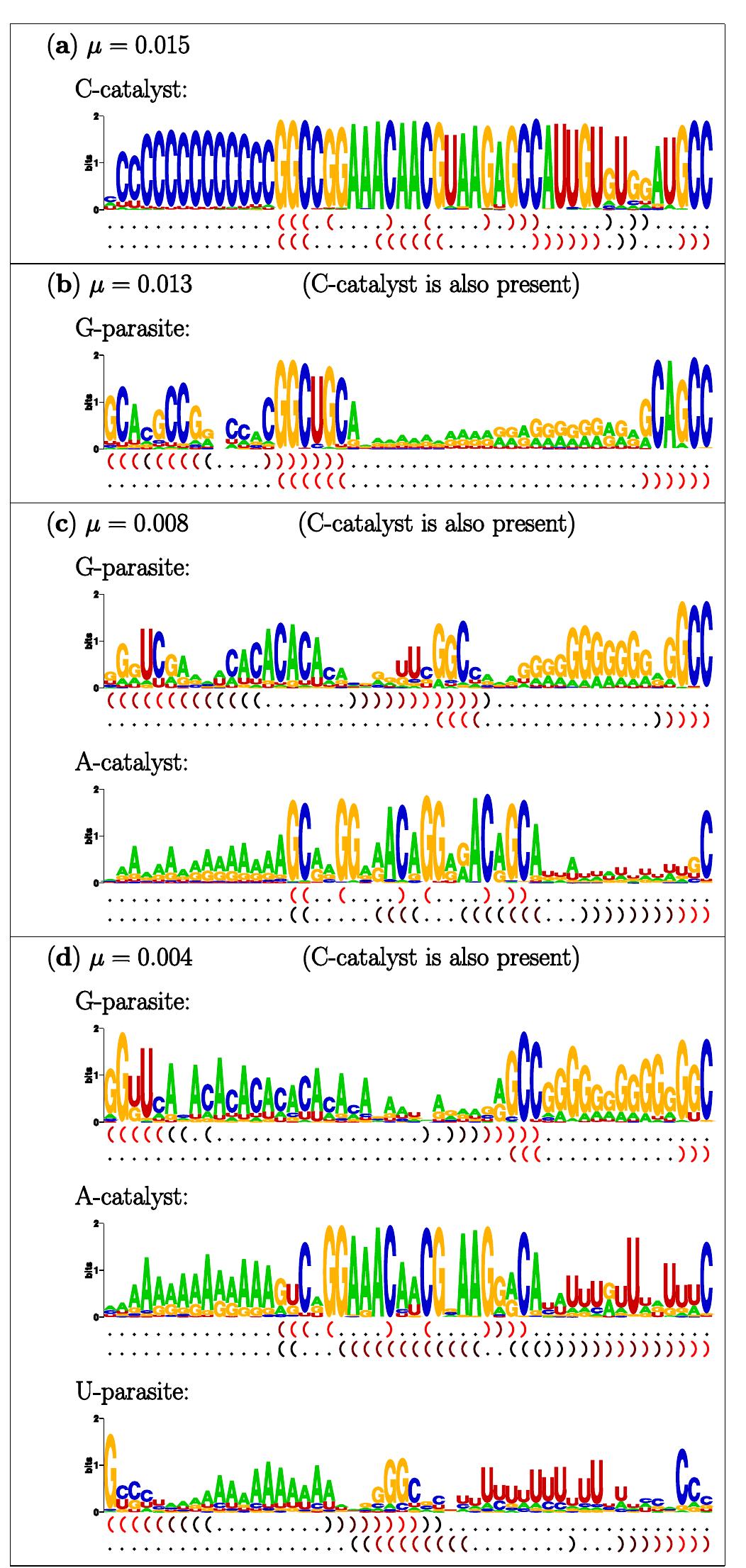 Typical sequence and structure of each sequence class. a