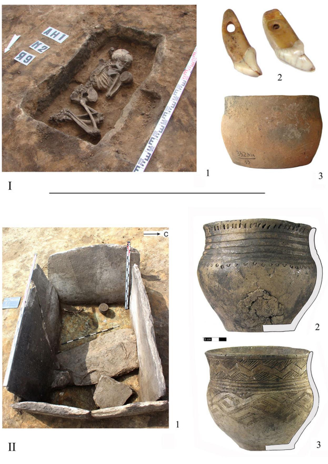 Difference between the alakul and fedorovka burial