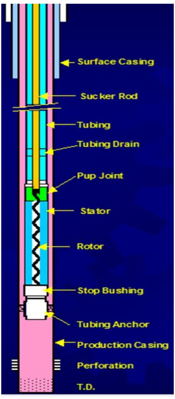 (2. 3) schematic of pc pump downhole equipment