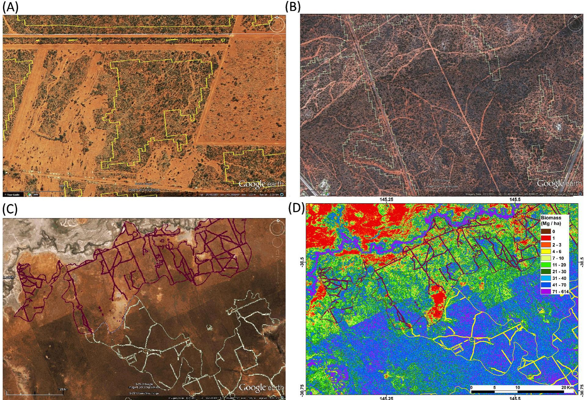 Example degradation of remnant ecosystems (biomass