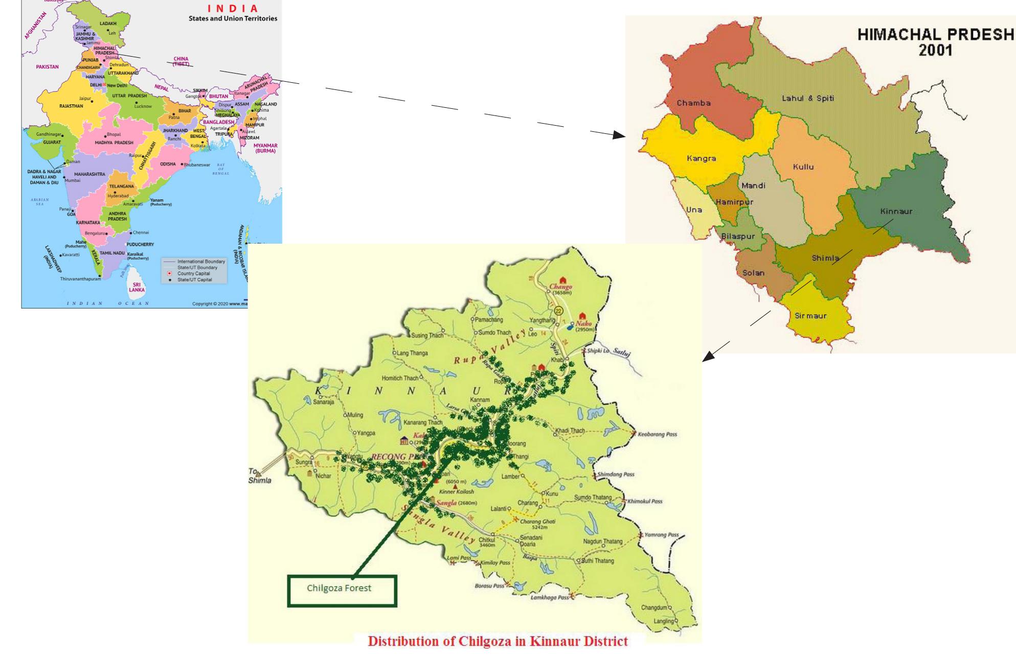 Sangla, morang, pooh, and nichar. the major soil types
