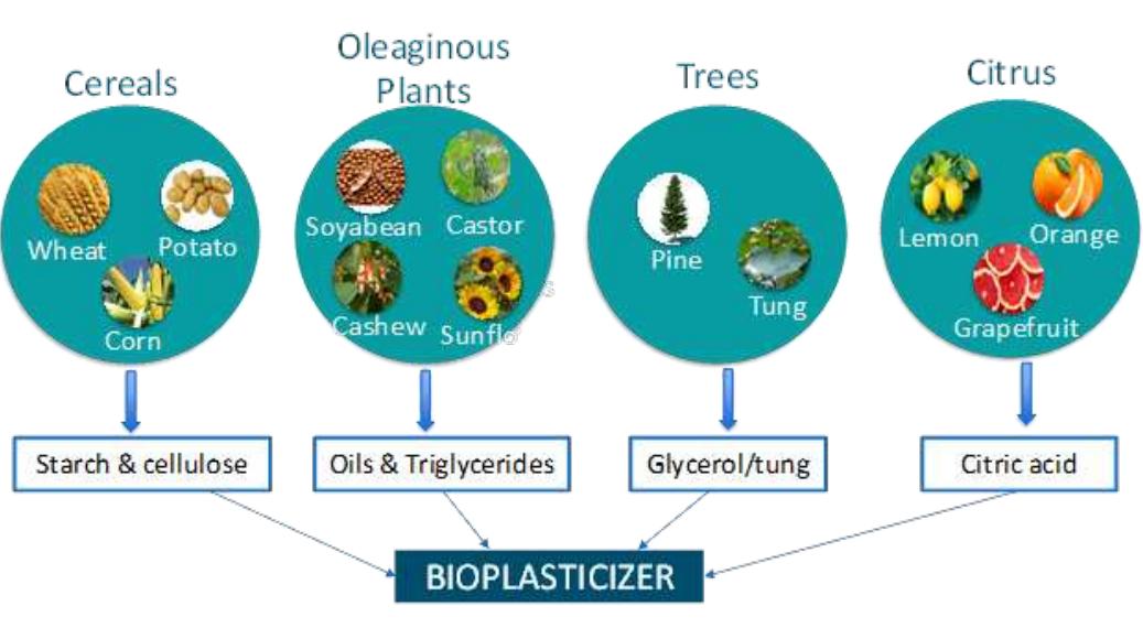 Which bio-plasticizers are produced [19]. additionally,
