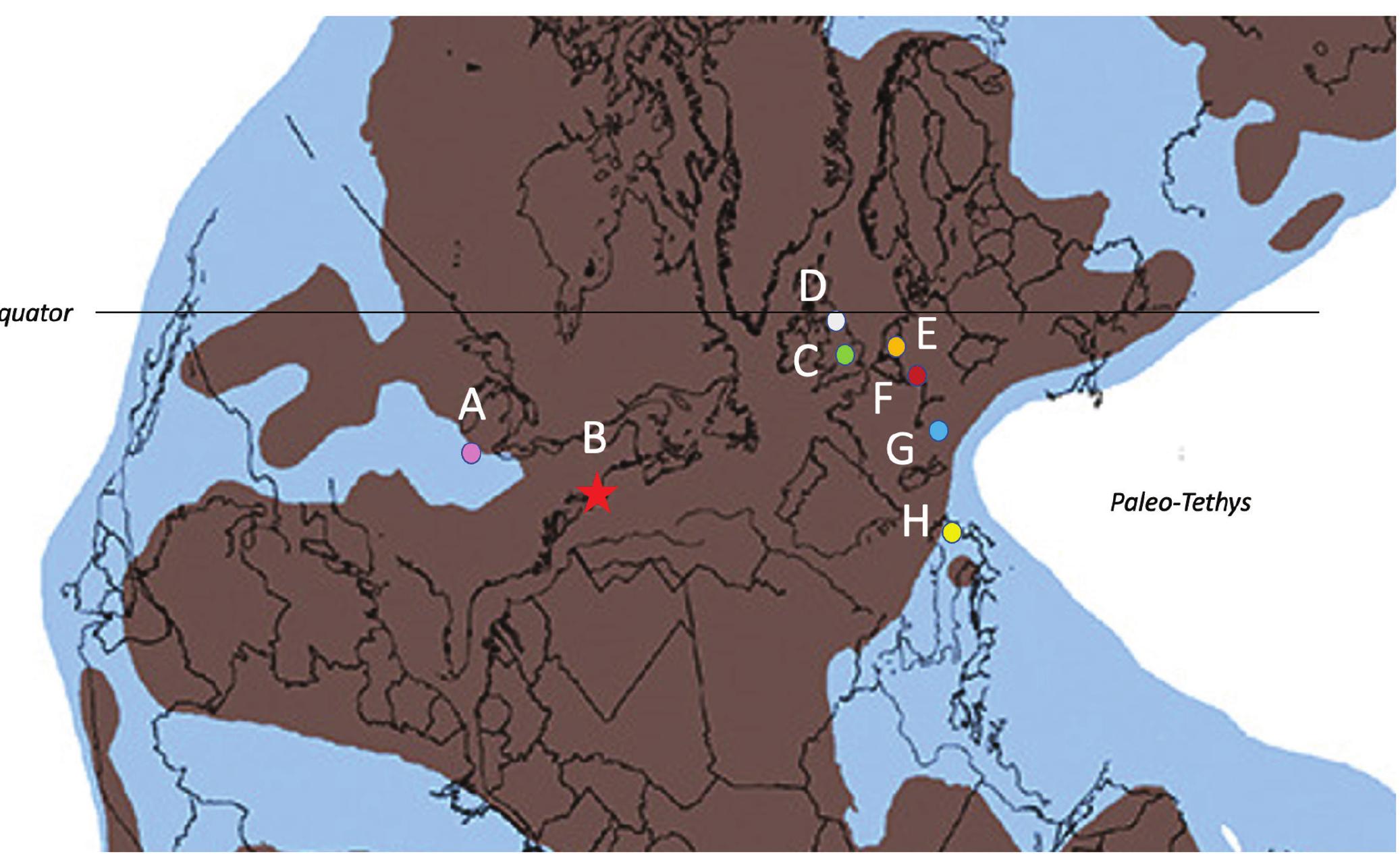 Palaeogeographic map of carboniferous (c. 310 mya) showing