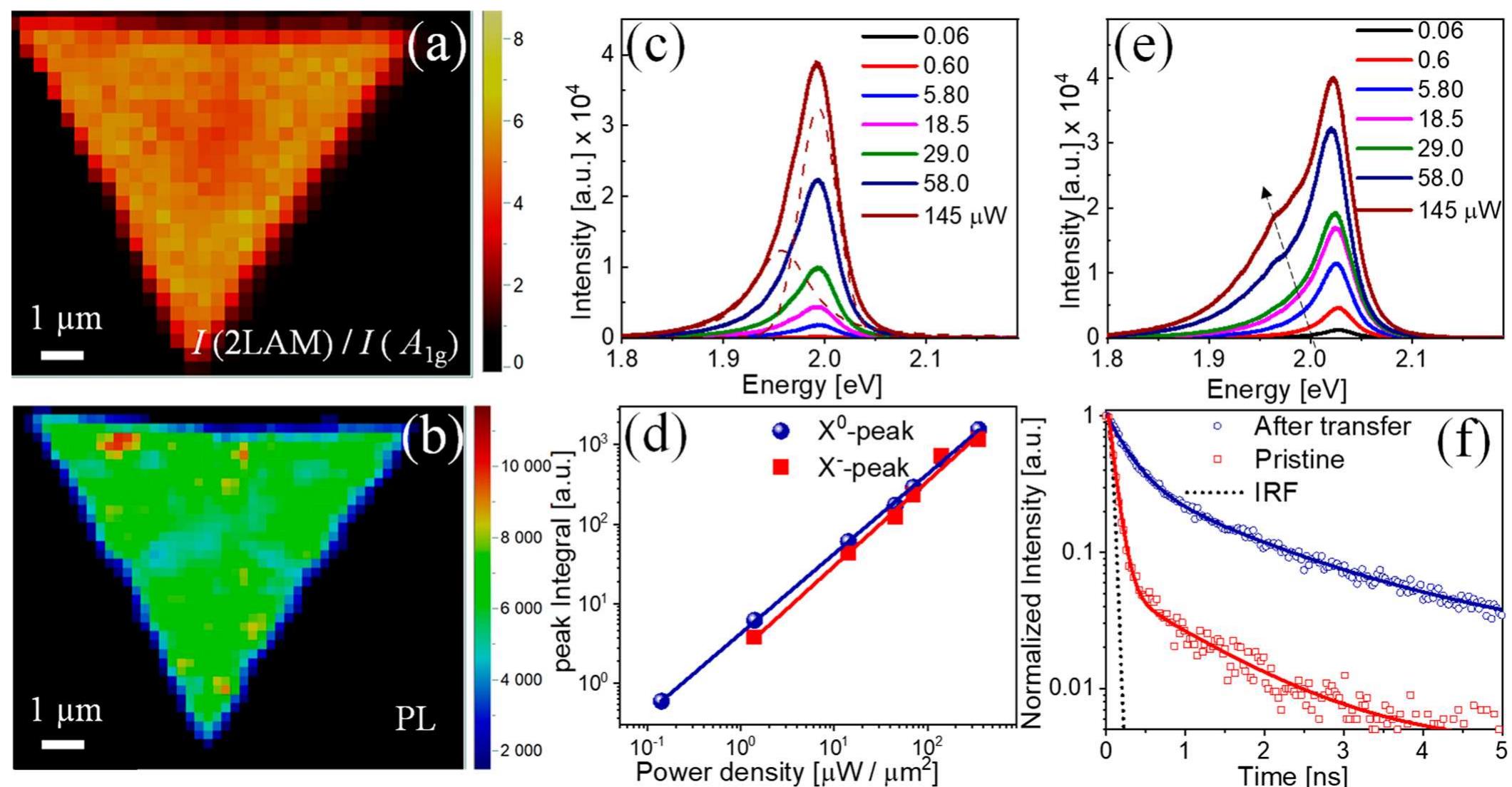 Spectroscopic maps of the raman intensity ratio of 2lam and