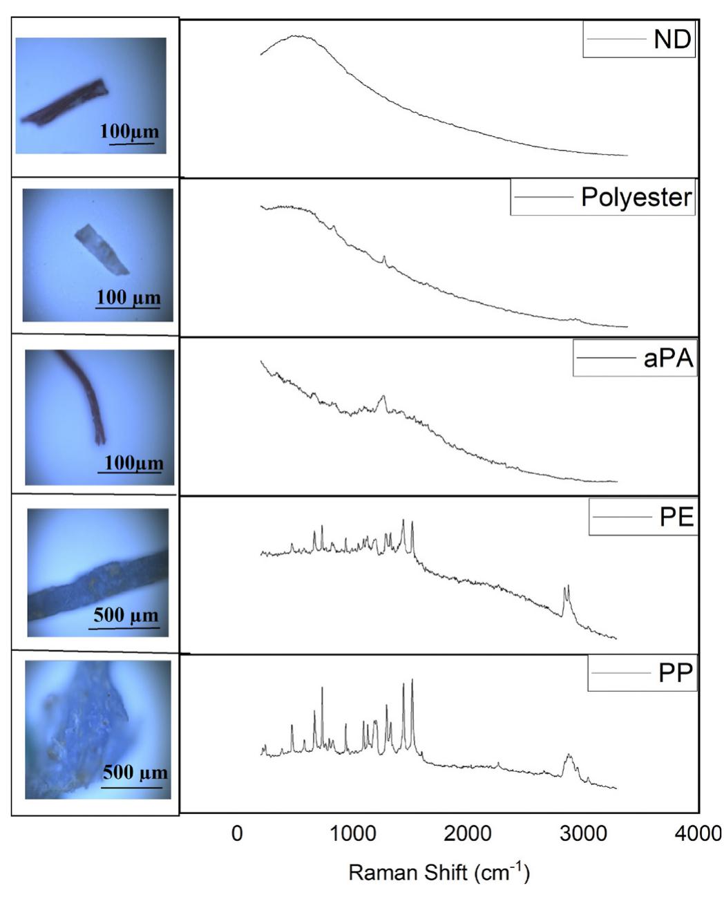 Raman spectra of mps particles and raman images of some