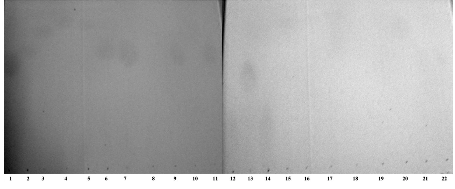 Color of amino acids with reagent i in hot condition. the
