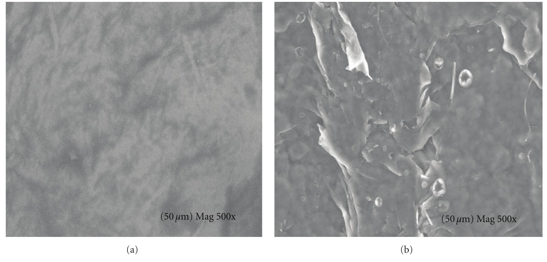 Sem images of surface morphology of graphite oxide paper.