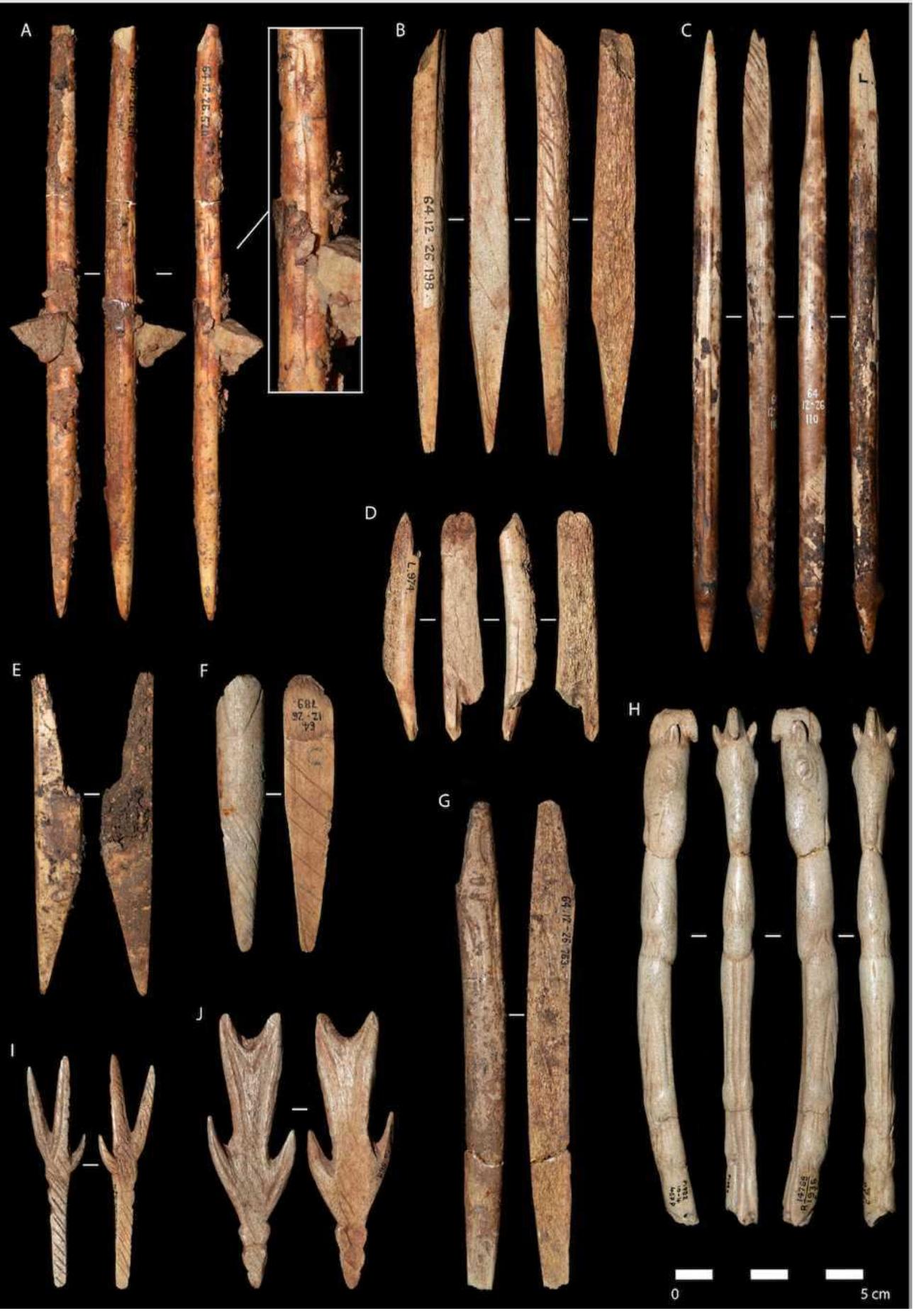 Figure 4 - The Magdalenian osseous industry from Courbet