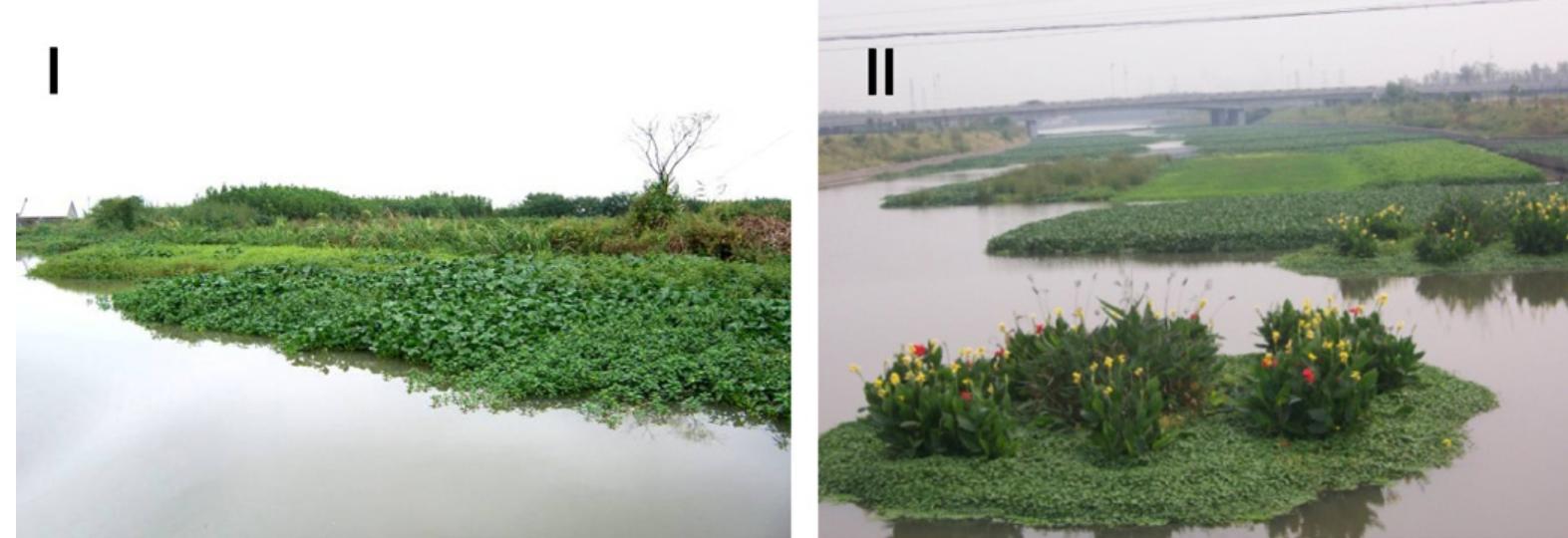 Subsystems of the integrated floating island system and