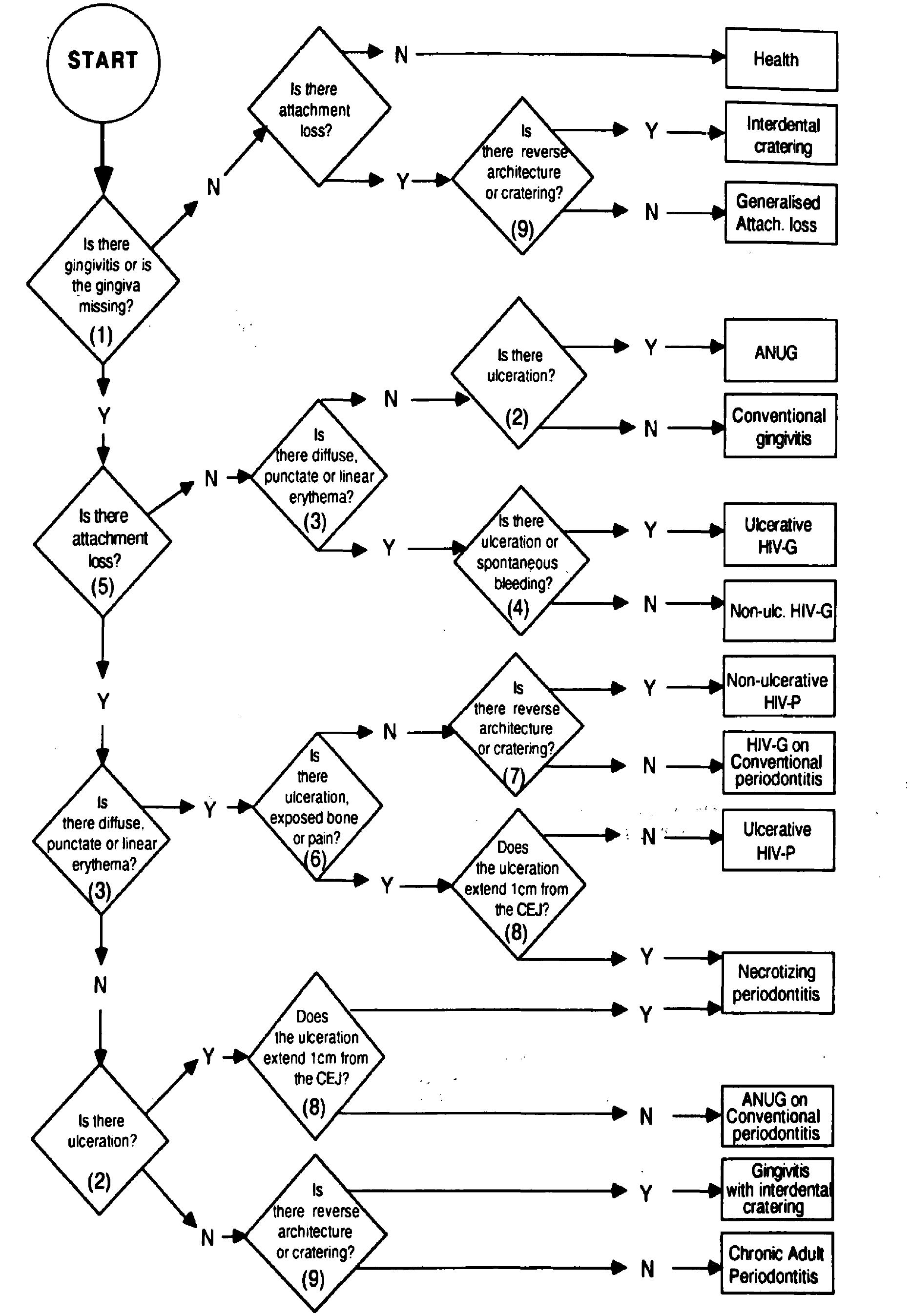 Decision-making flow chart for diagnosis of periodontal