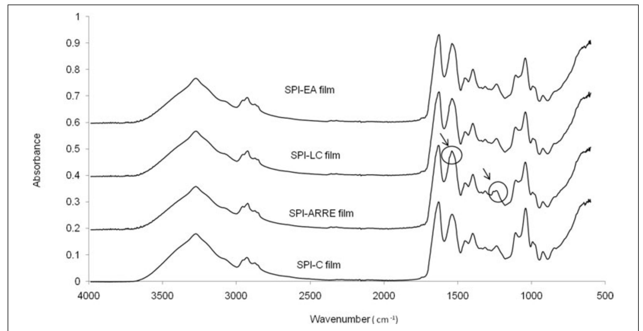 —fourier transform infrared (ftir) spectra of spi-c film,