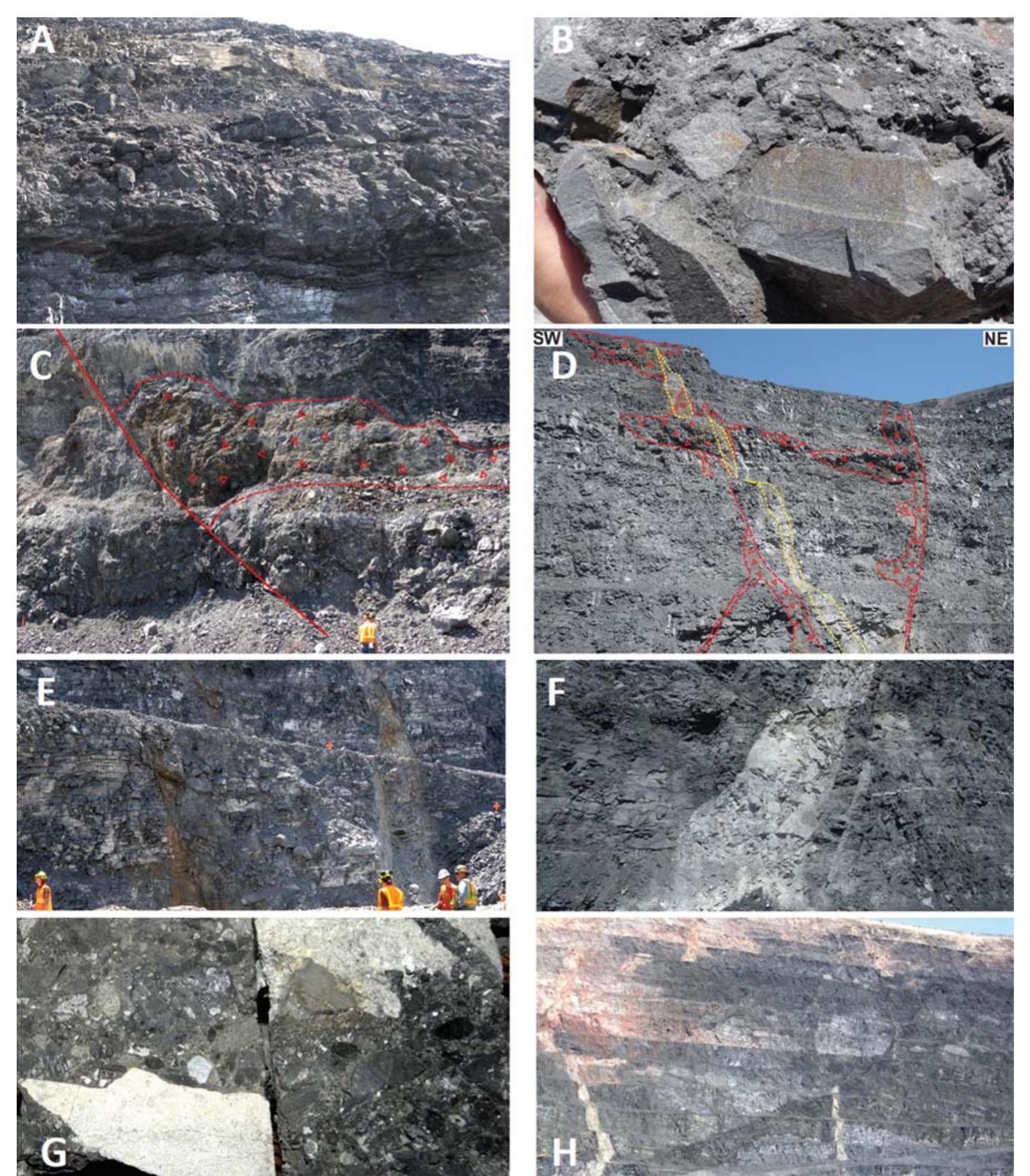 Mineralization in the betze-post open pit. a to e: photos