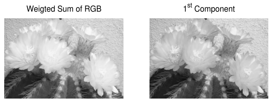 Comparison of various method of image colour reduction. the