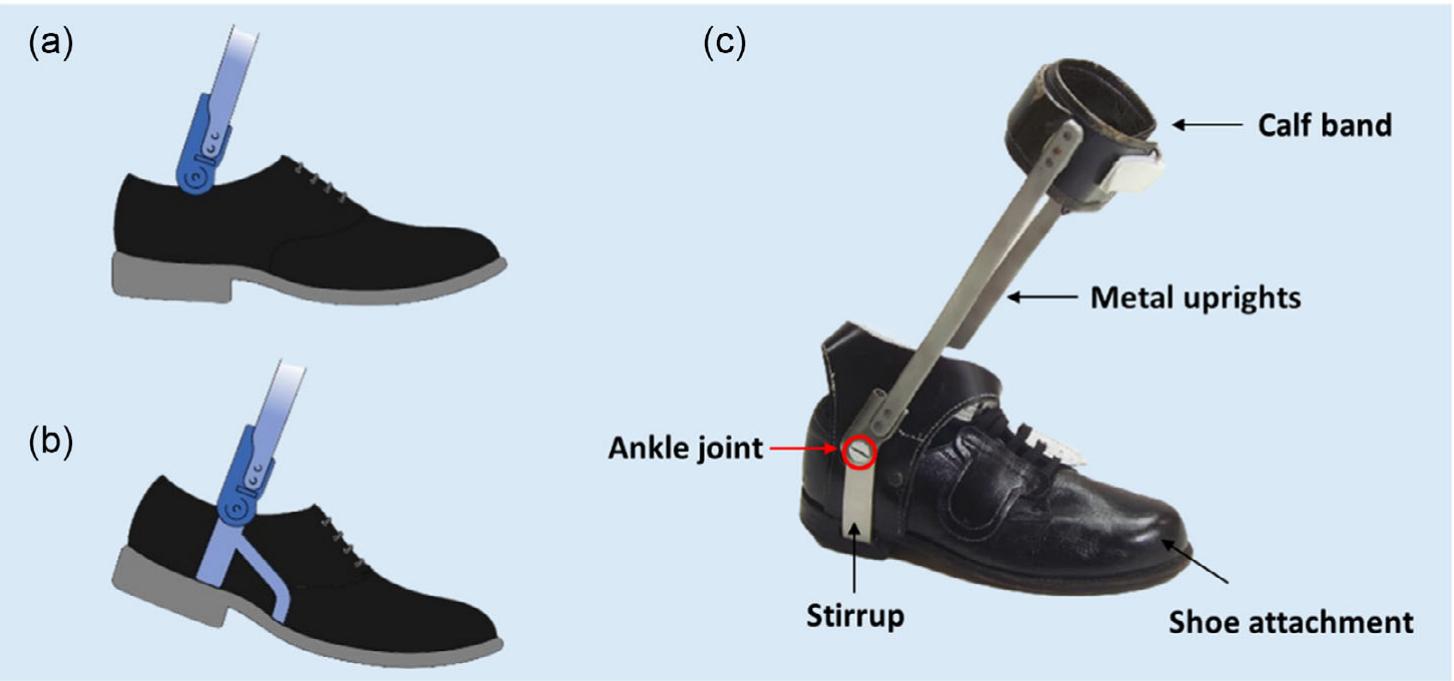 Schematic drawing of a metal afo with two different motion