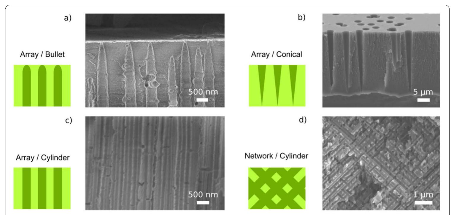 Schematics and scanning electron microscopy images of
