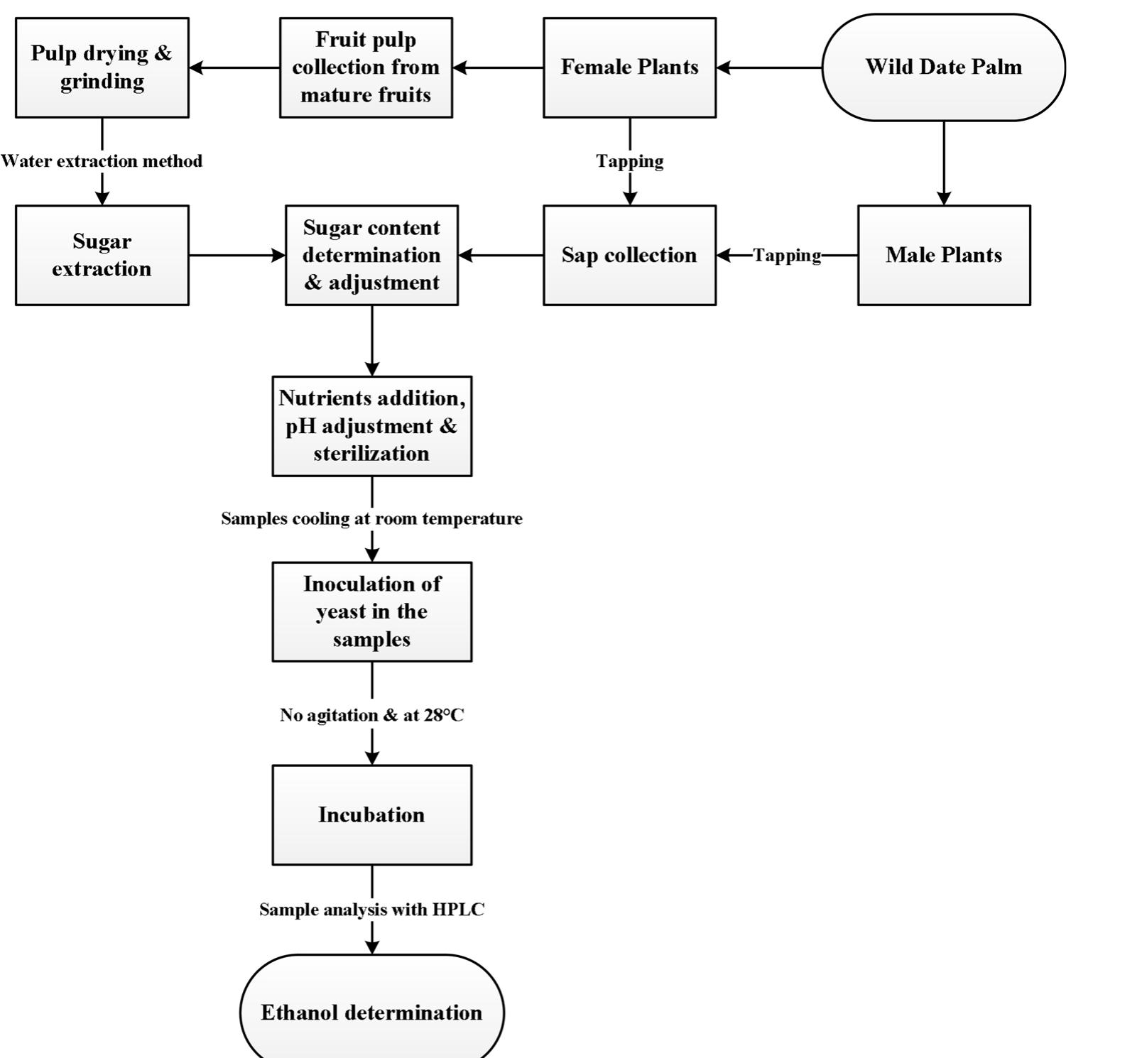 Bioethanol production process from wild date palm.