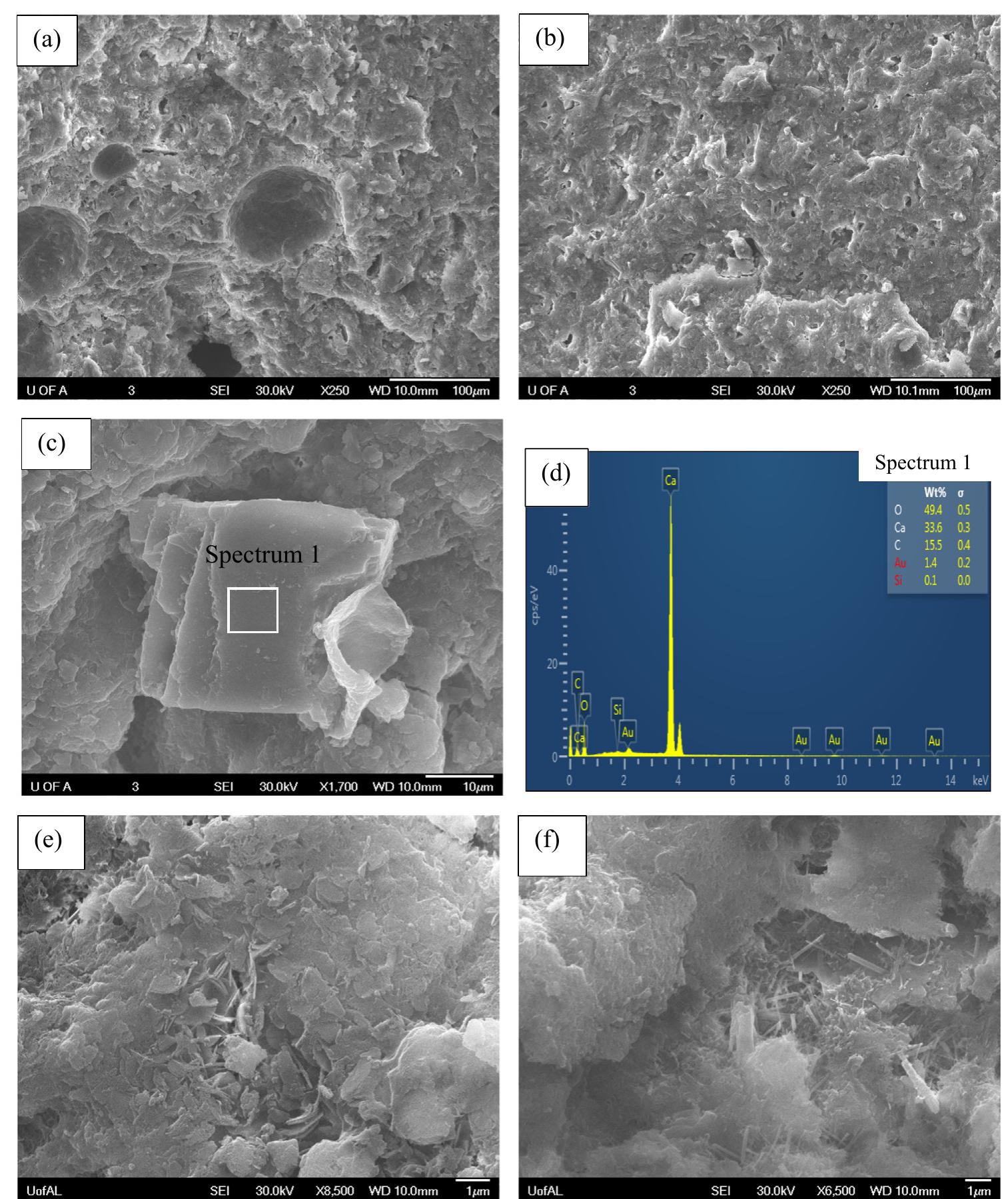 Representative sem images of 20% metakaolin blended cement