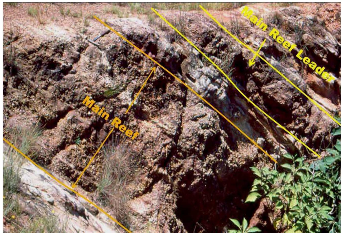 (PDF) A Review of the Witwatersrand Basin - The World’s Greatest Goldfield