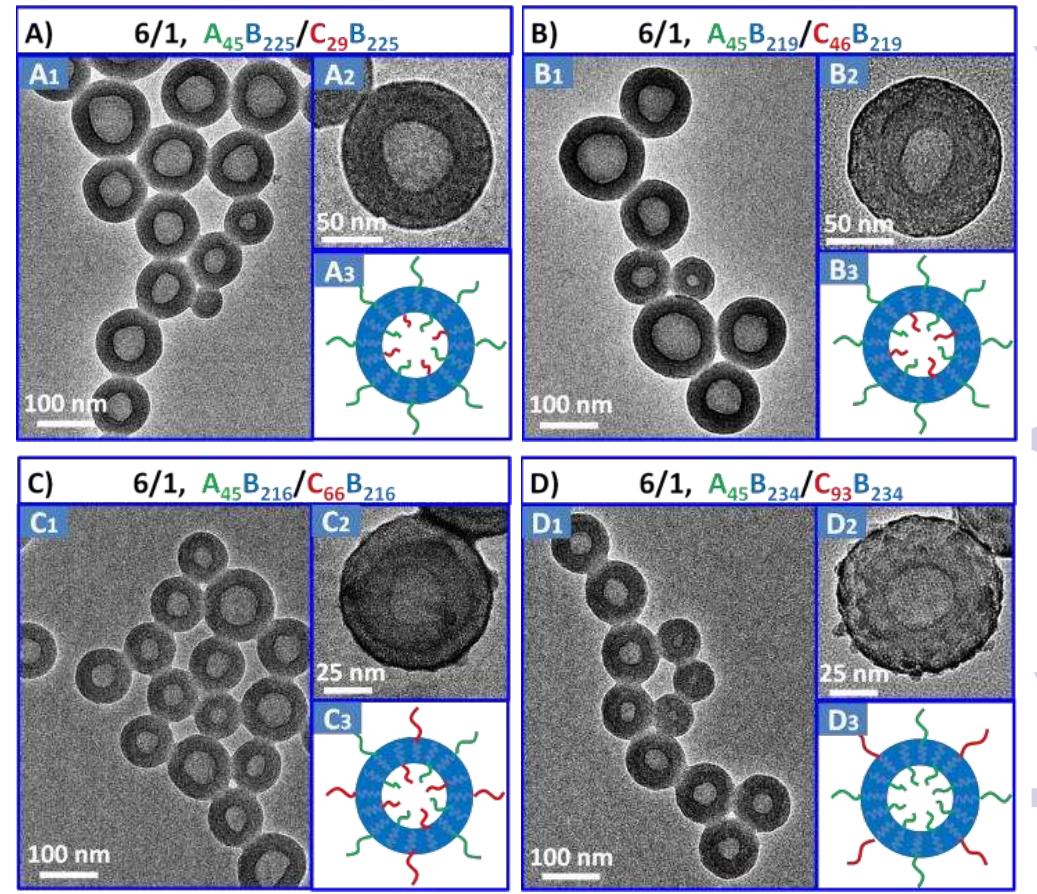 The tem images and the schematic structure of the