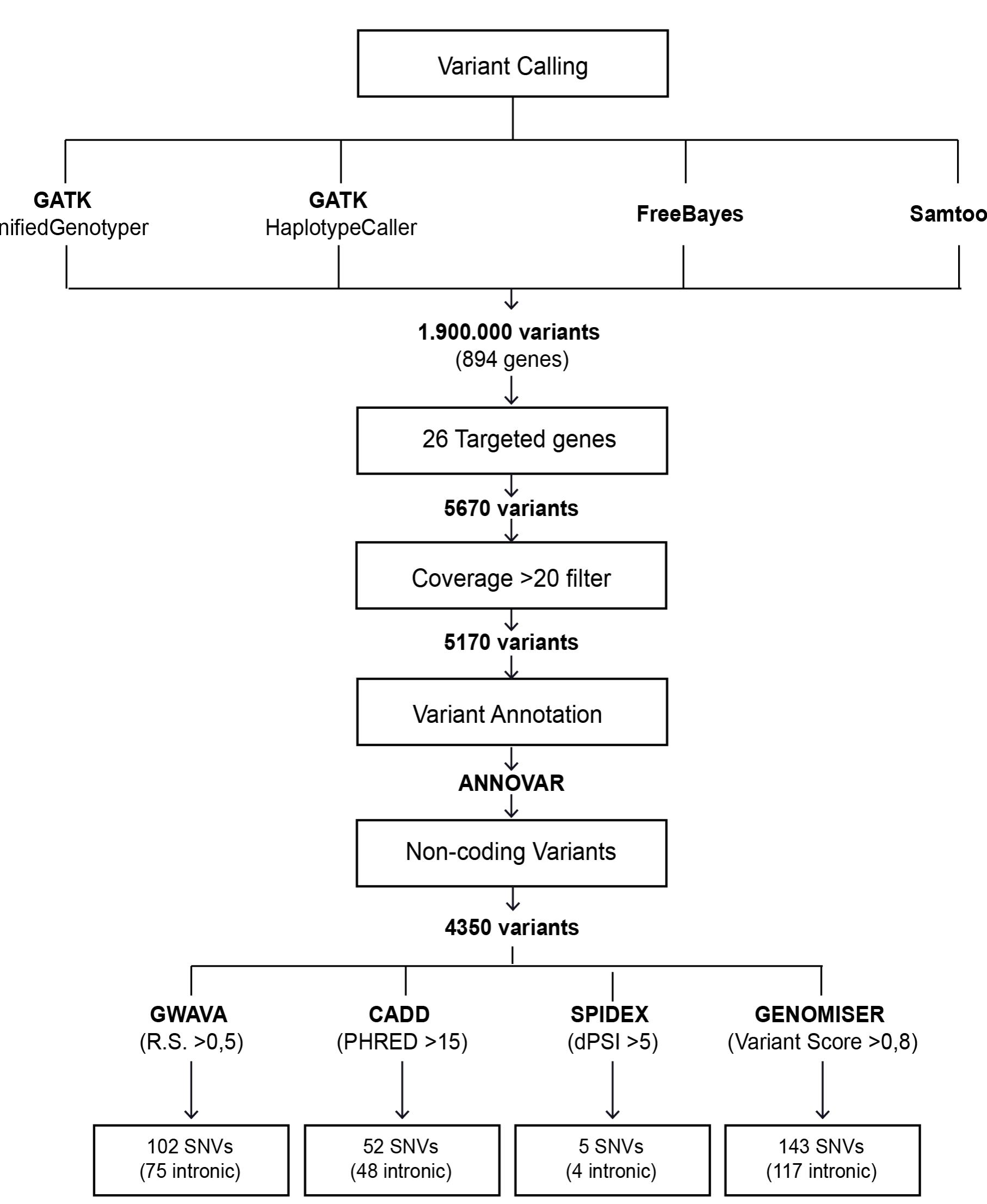 Flowchart Of Noncoding Data Analysis Variants That Were