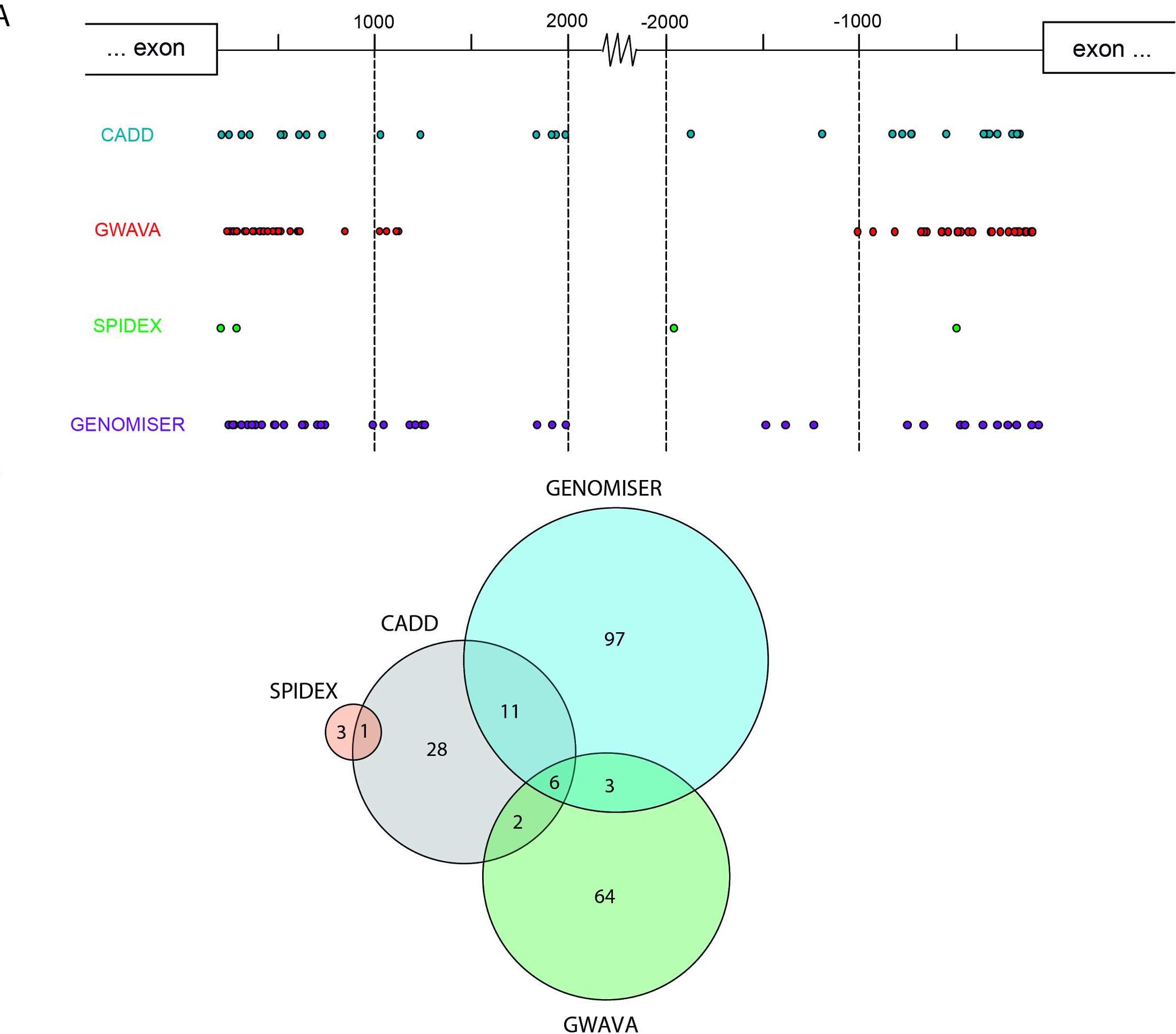 Assessment of intronic variants. a) schematic diagram