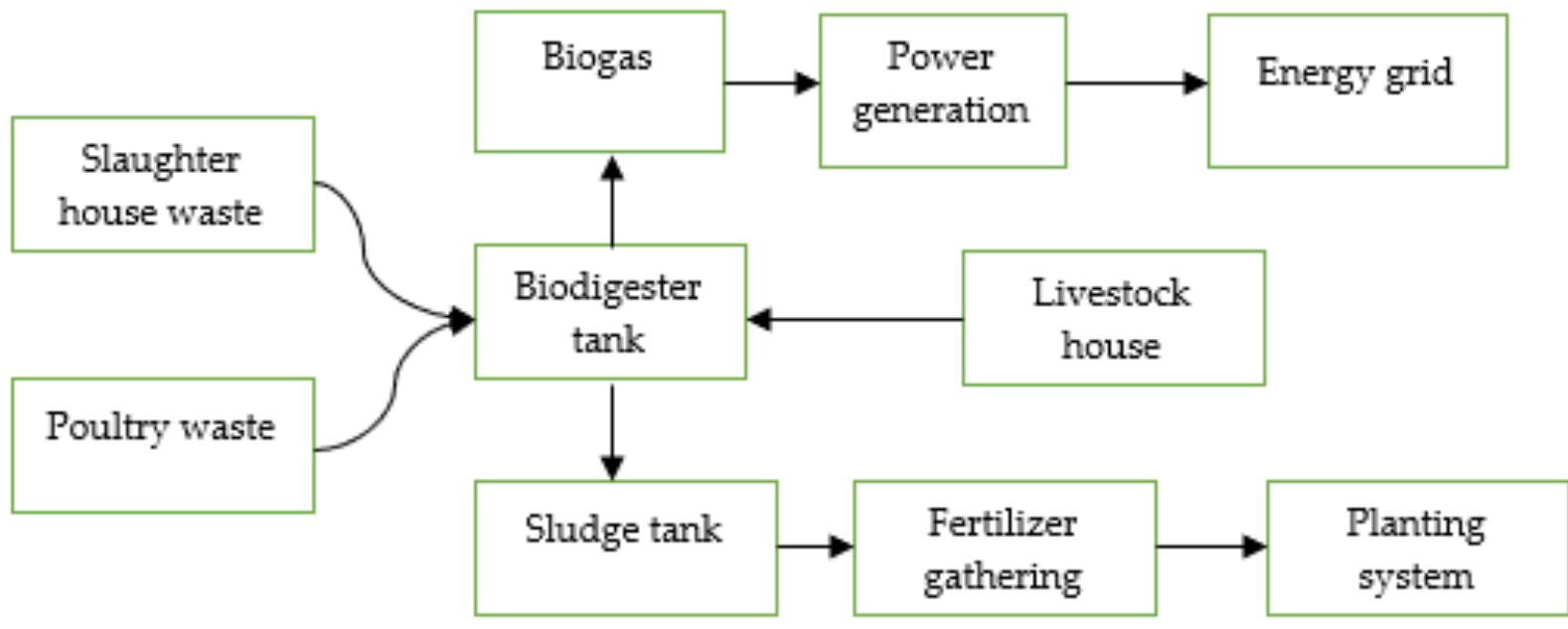 Potential for biogas production from slaughterhouse residues