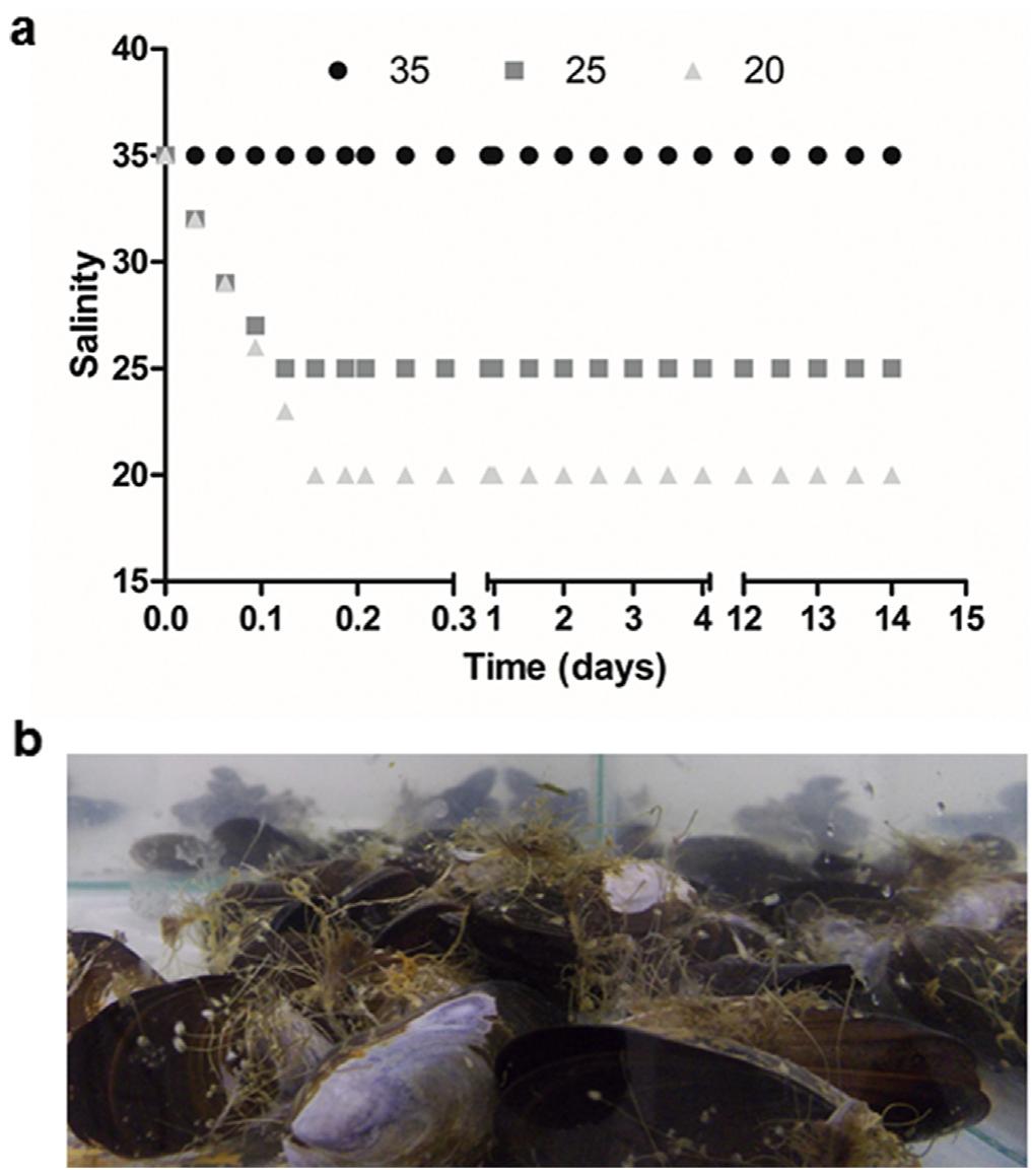 A Diagram Showing The Decrease In Salinity In The 7264