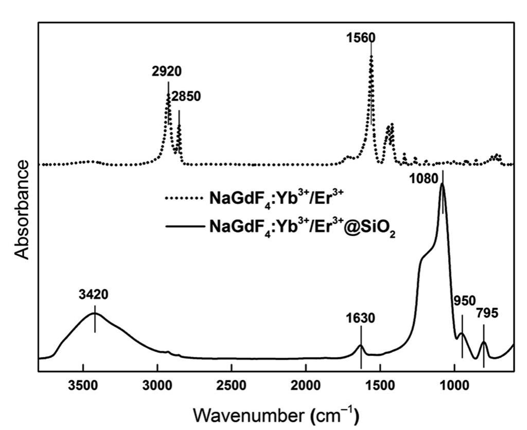 Atr ftir spectra of nagdf,:yb°*/er>* (full line) and