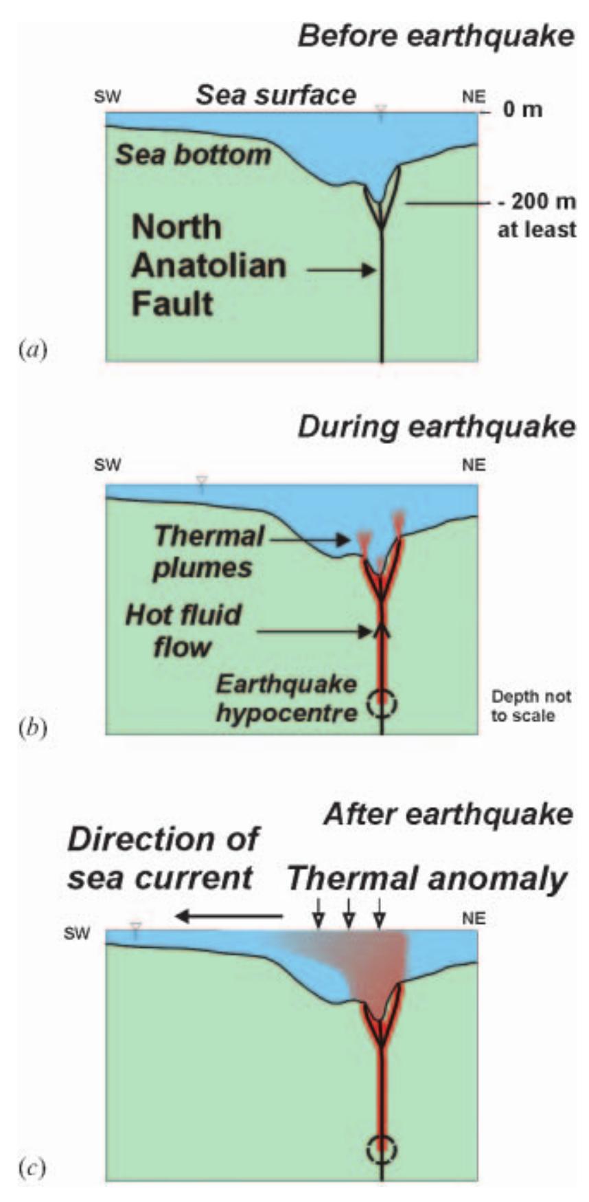 Schematic model depicting how the positive anomaly developed