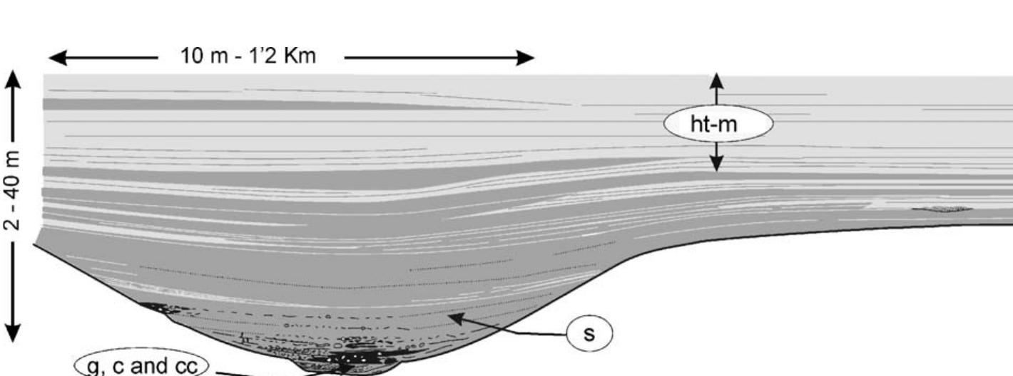 Conceptual depositional model for facies distribution in a