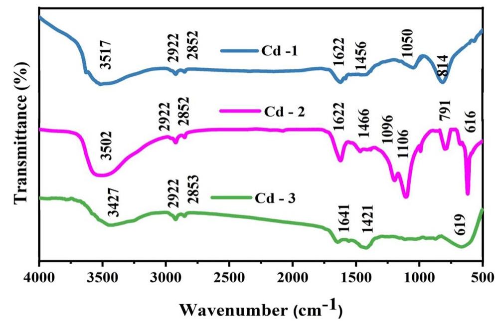 Ftir spectra of prepared nanoparticles medium was touched