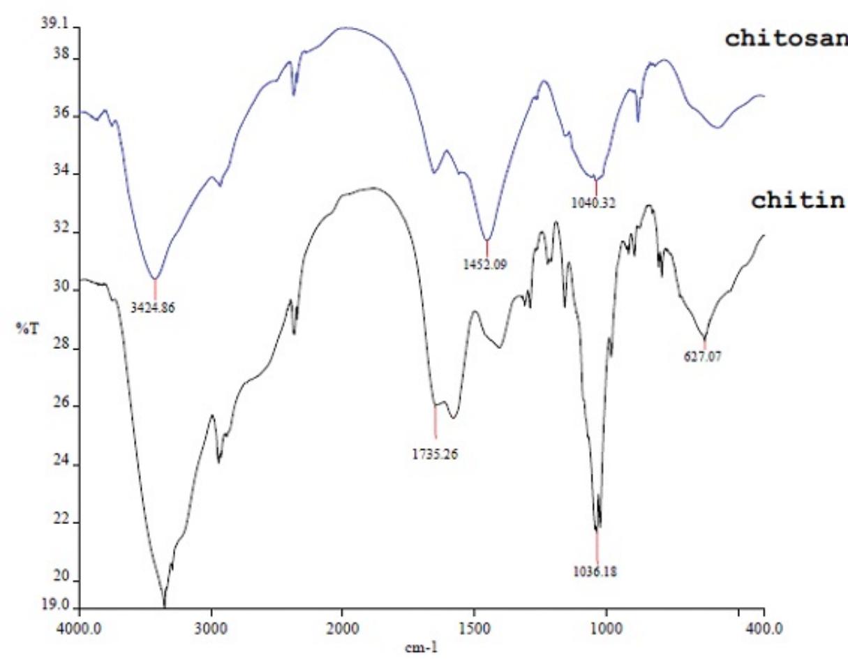 Ft-ir spectra of chitin and chitosan. h, o-h) (figure 2).