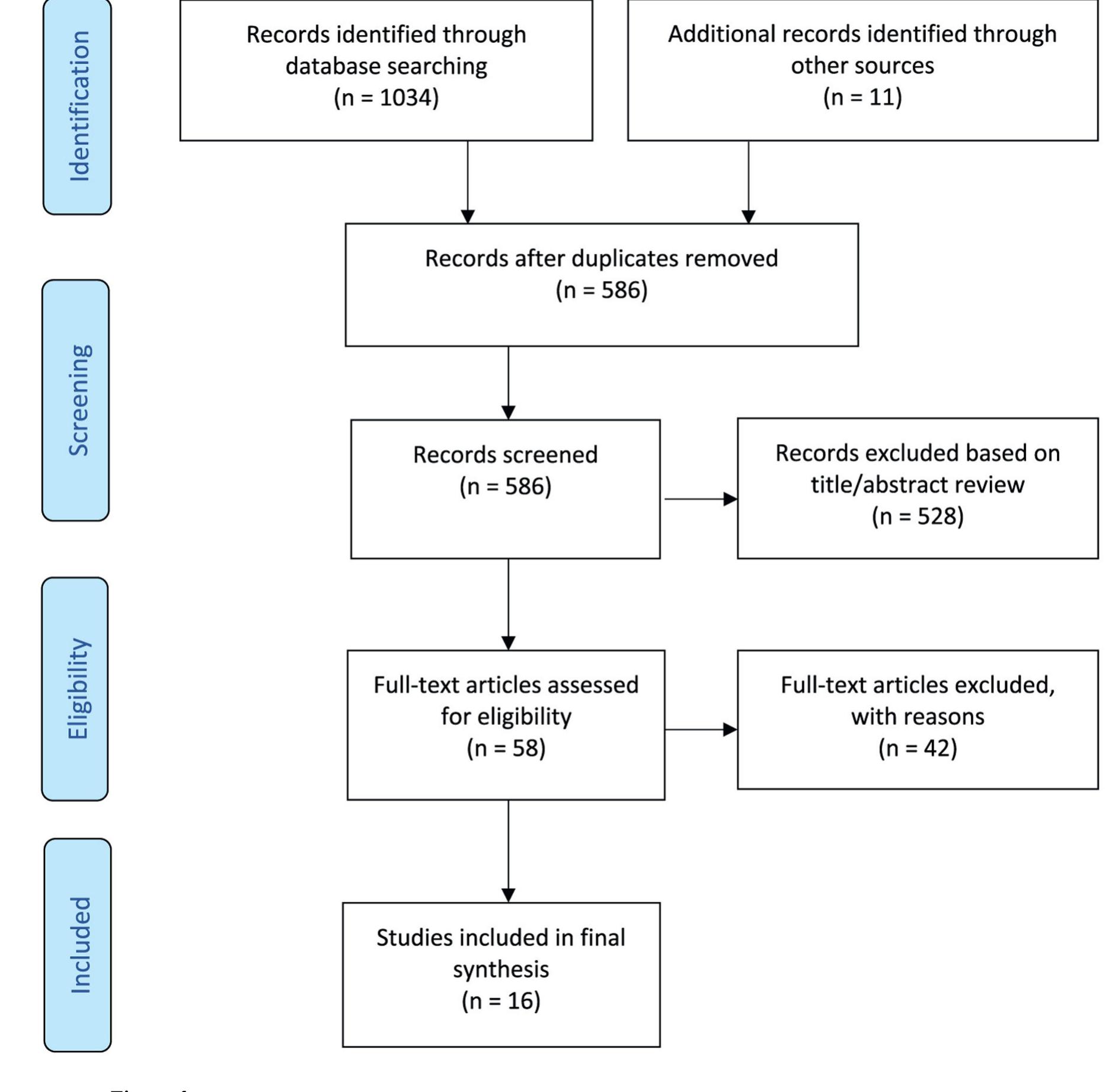 Flow diagram of steps used in selecting relevant studies.