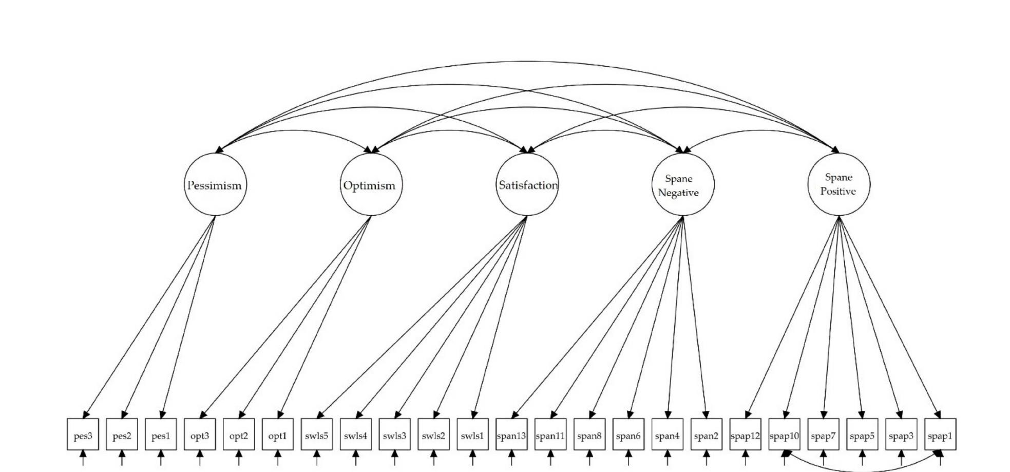 Path diagram for the concurrent validity model. spane: scale