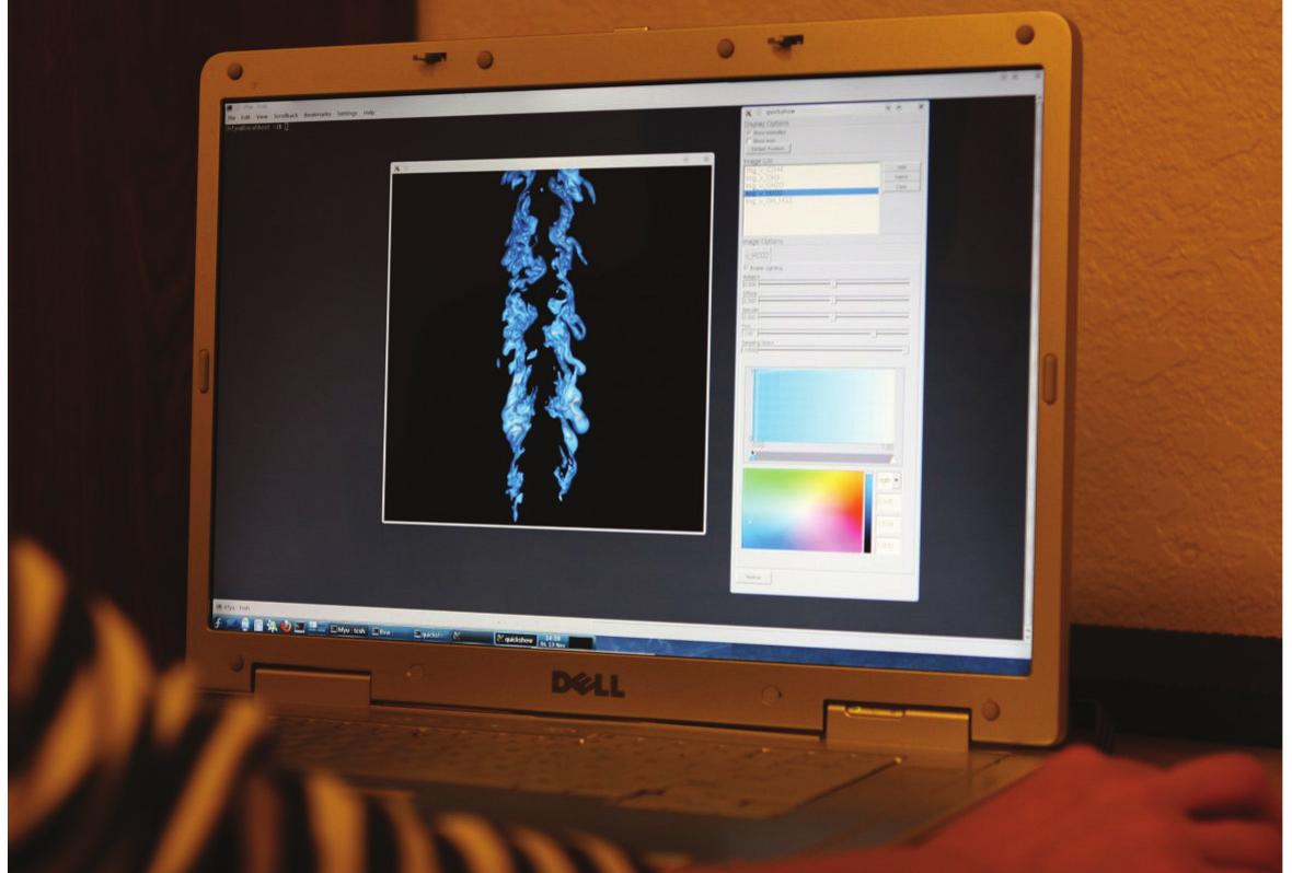 In Situ Visualization Of A Combustion Simulation A User In