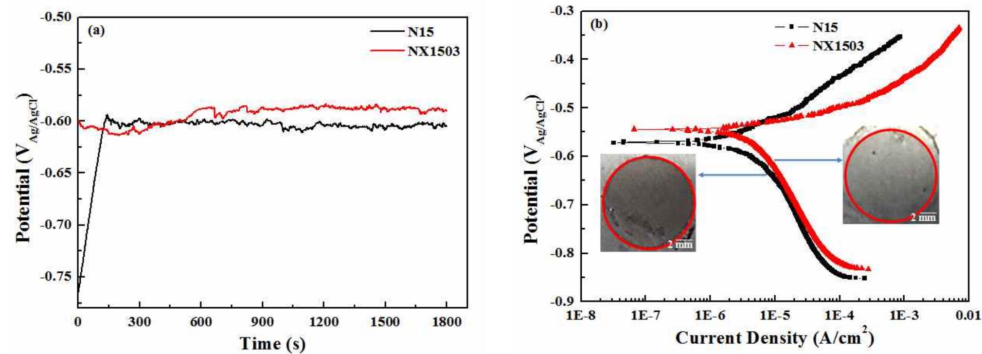 (a) ocp and (b) potentiodynamic polarization curves of n15