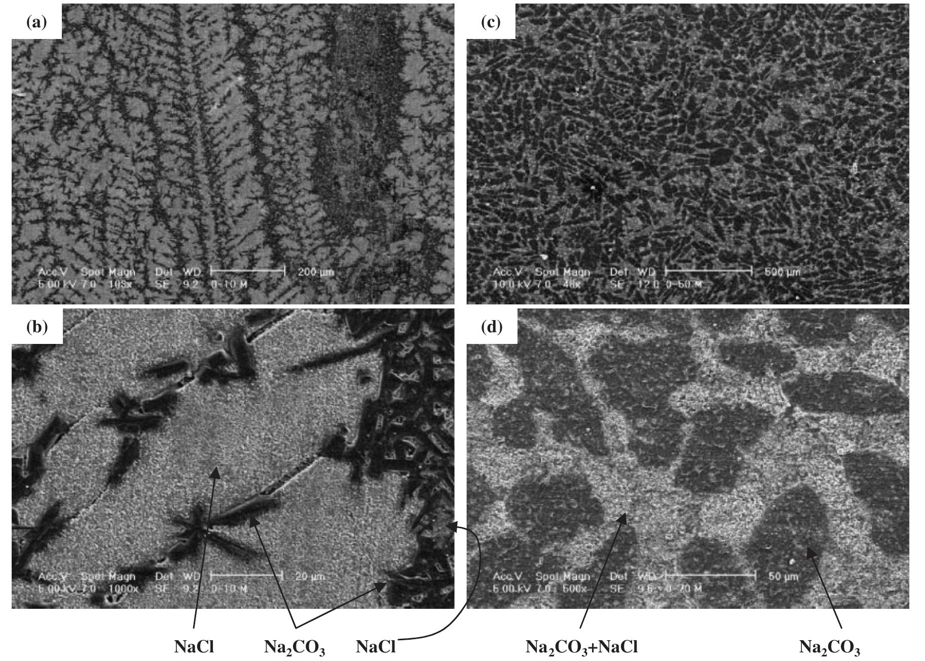 The scanning electron microscope (sem) images of solidified