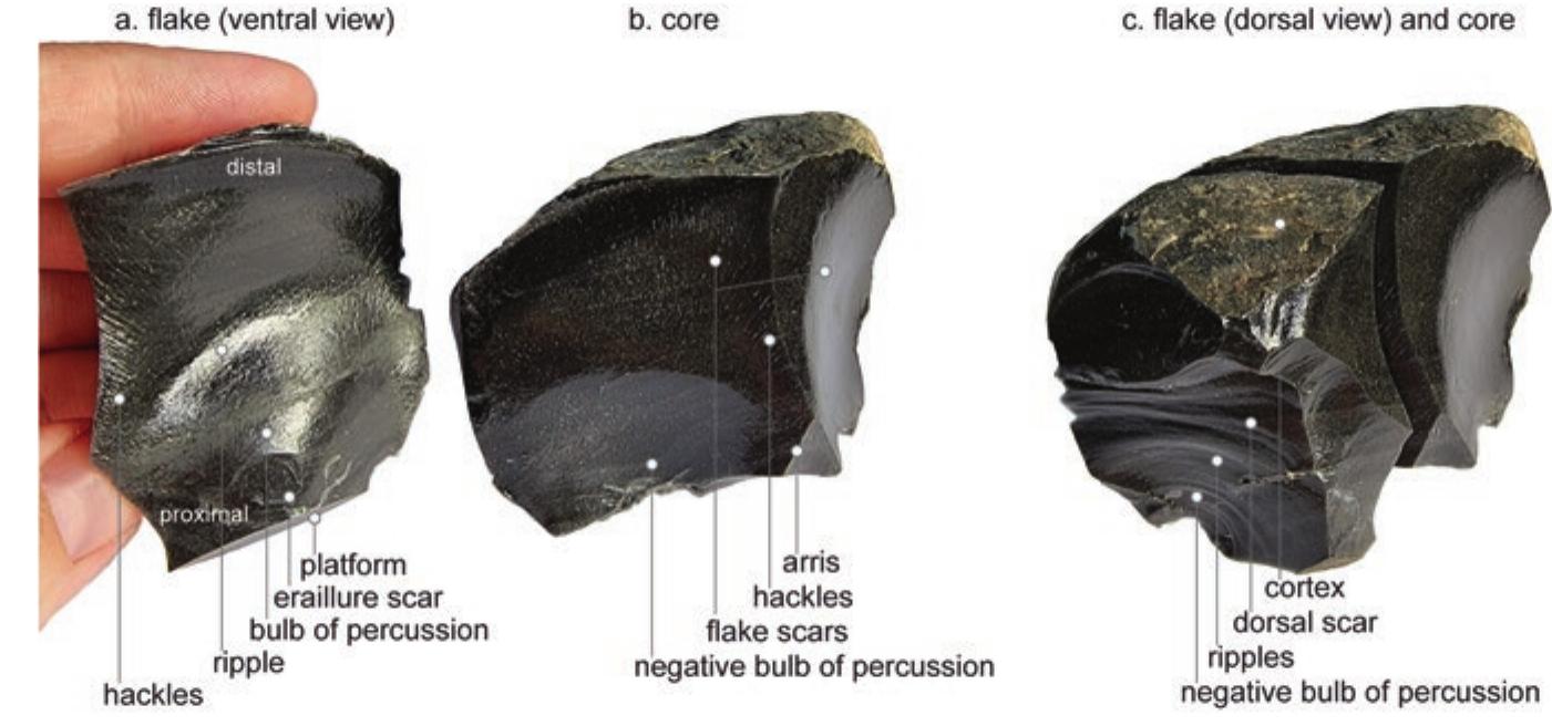 Figure 3 - from The Pleistocene Stone Artifact Record of