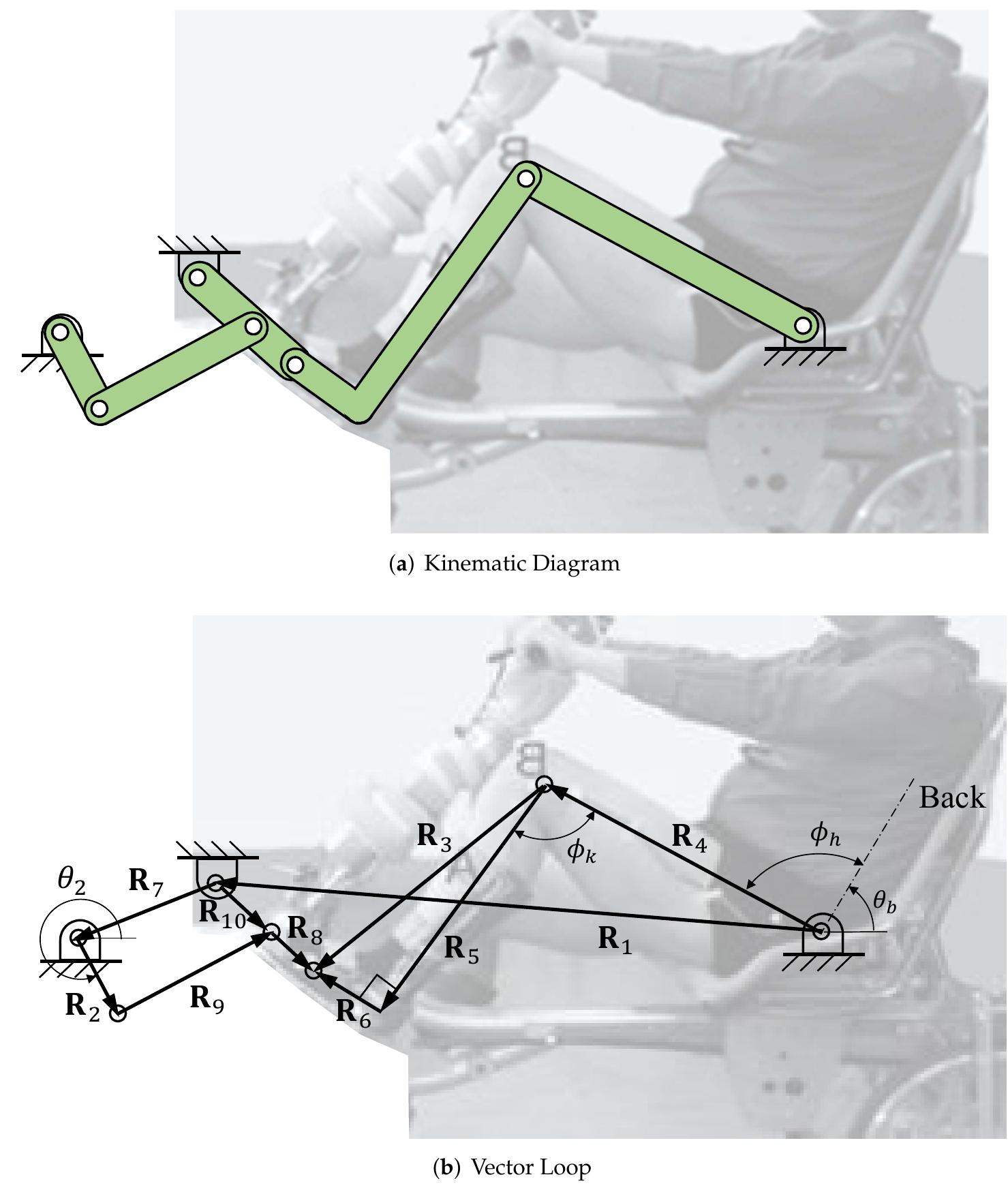 Kinematic model for the crt mechanism adapted from ref.