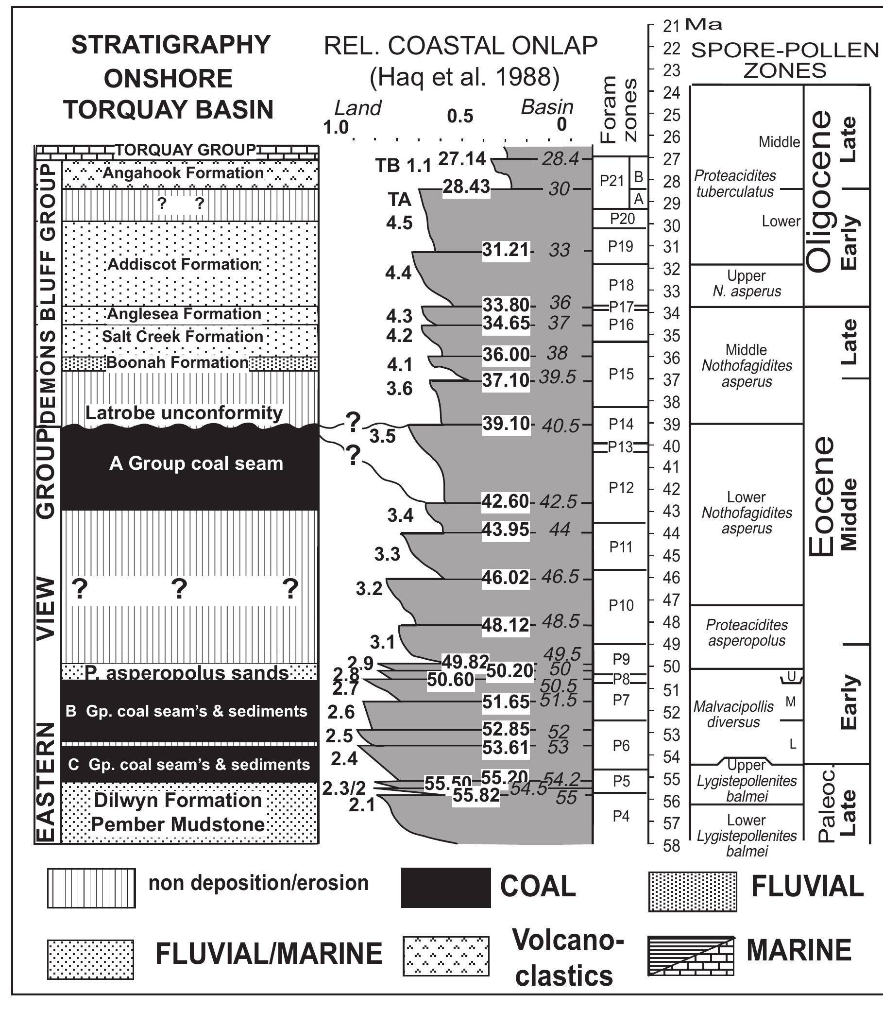 Stratigraphic chart for the torquay basin (modified from