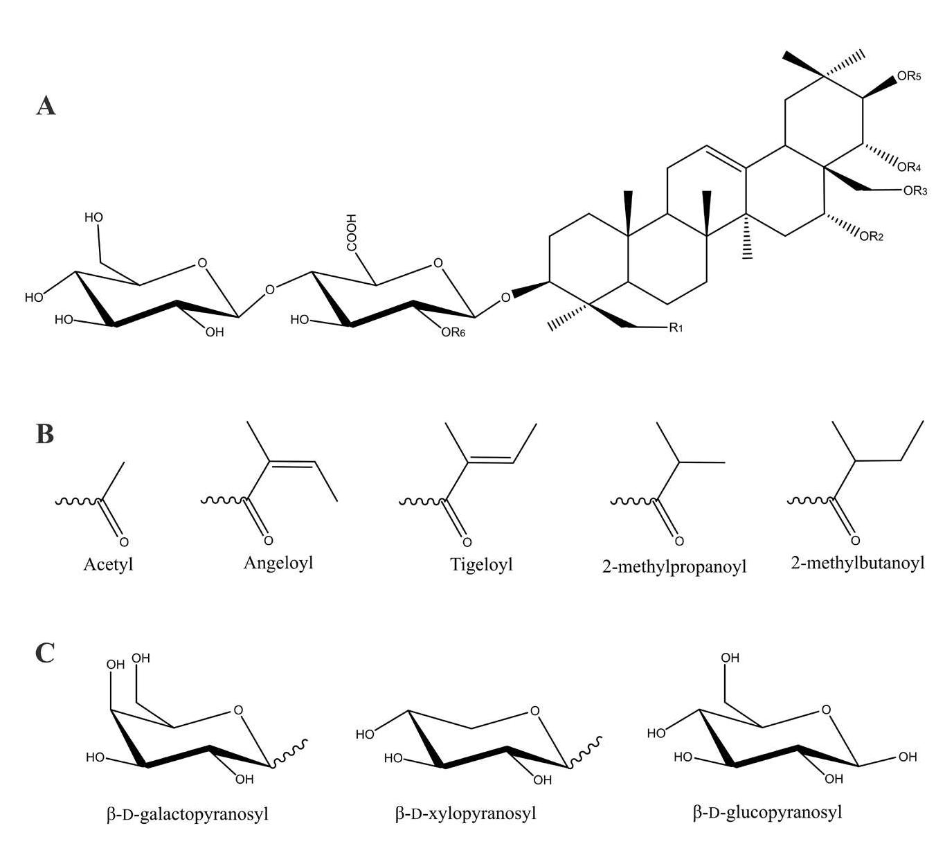 General chemical structure of escin (a), structures of