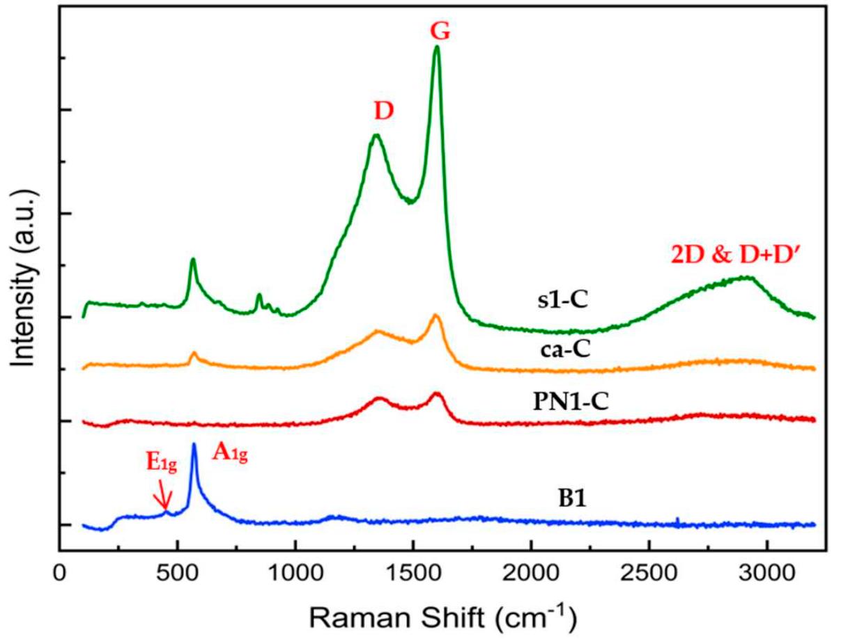 Raman spectra of b1, pn1—c, ca—c, and s1—c samples. major