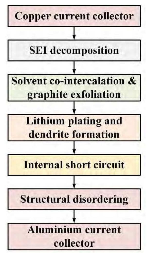 In an electrochemical cell, the anode, cathode, electrolyte,