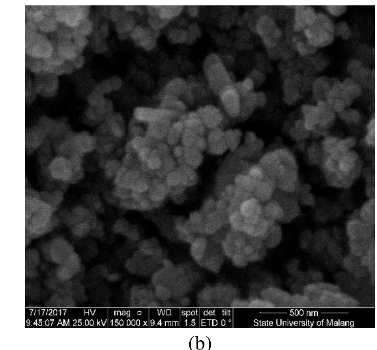 Sem images of magnetite with and without templates are
